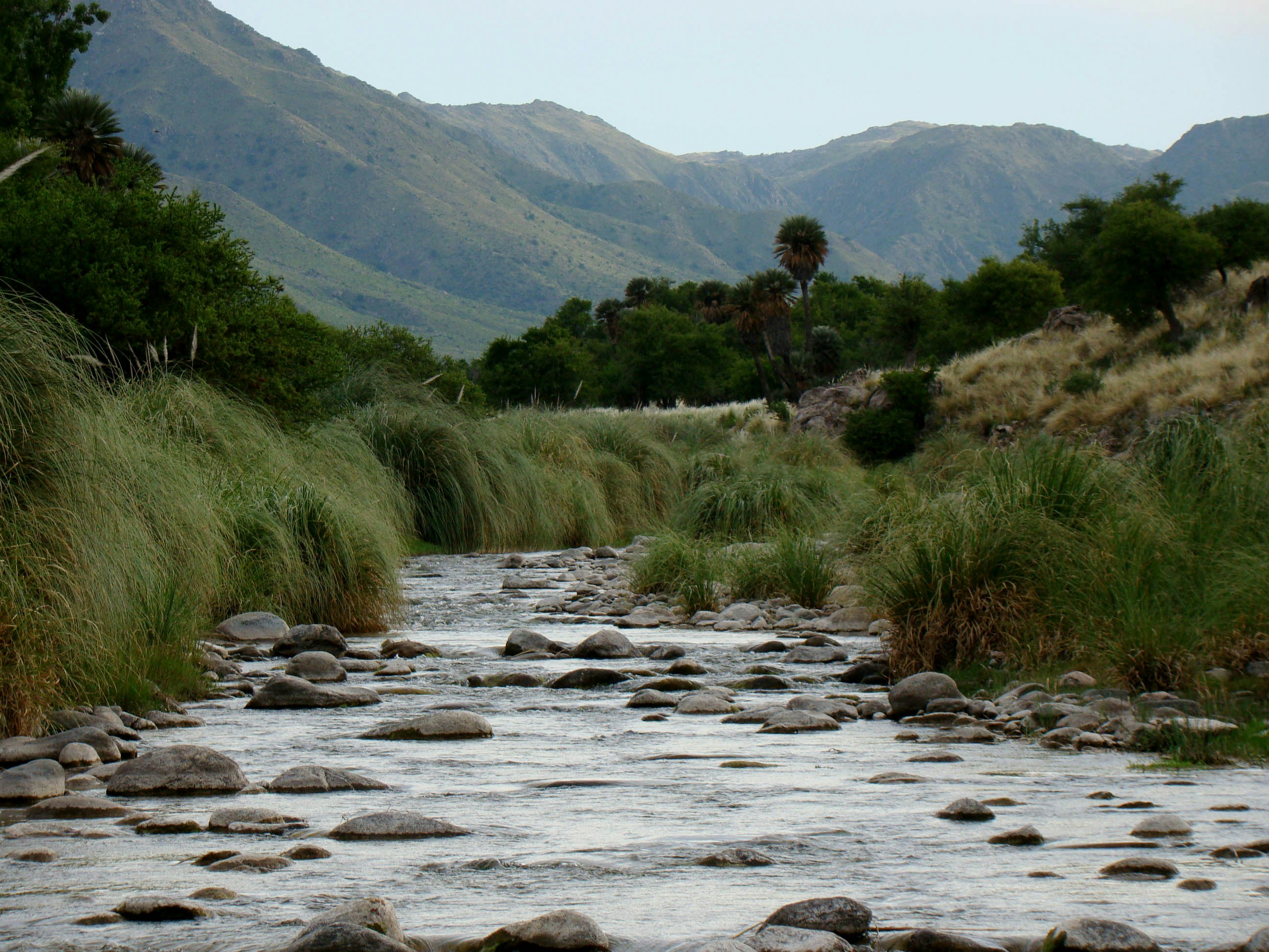 A shallow river winds through grassy banks with distant hills and scattered trees, creating a tranquil, natural landscape.