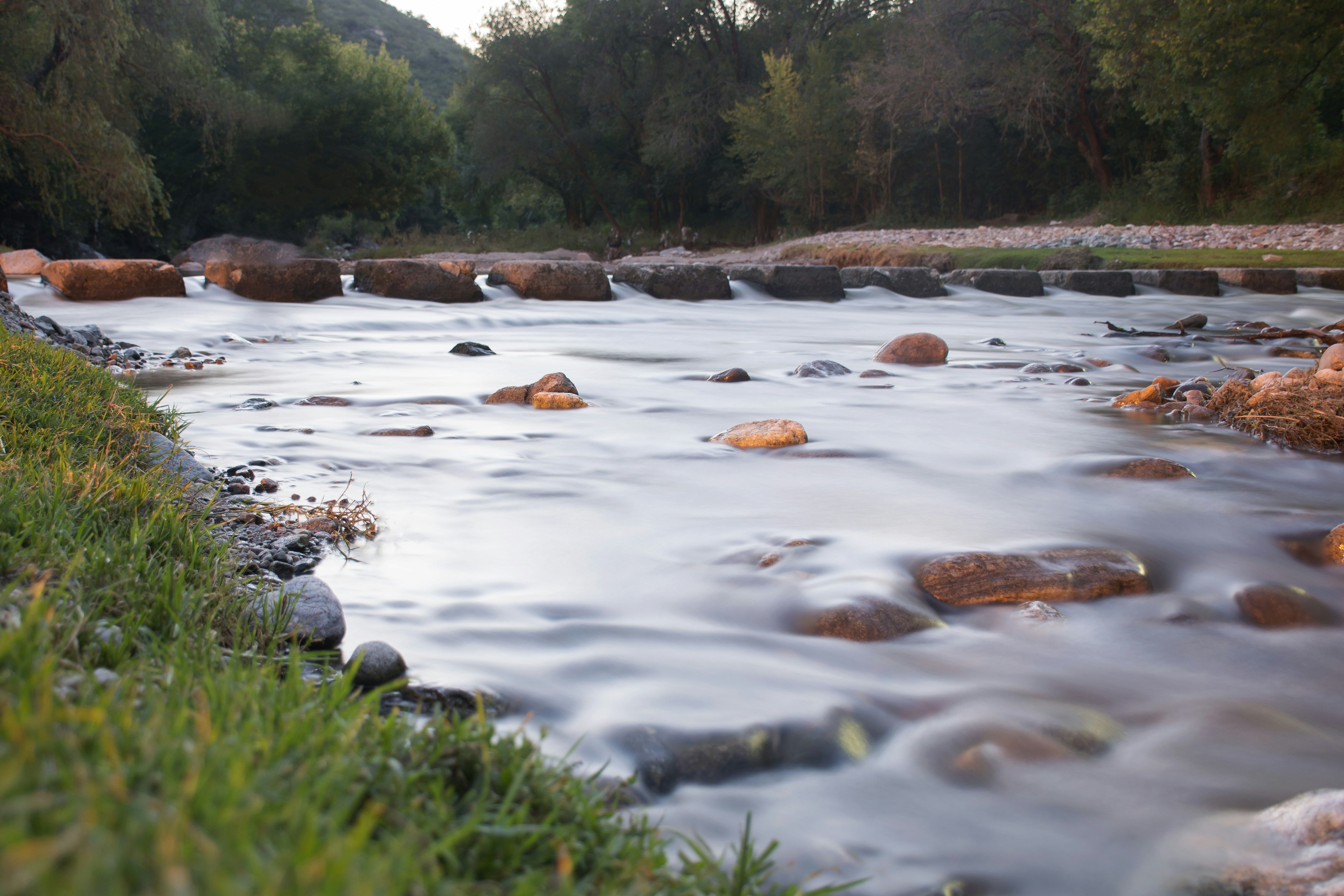 River Stones in Motion: A Quiet Bend Framed by Shoreline Greens