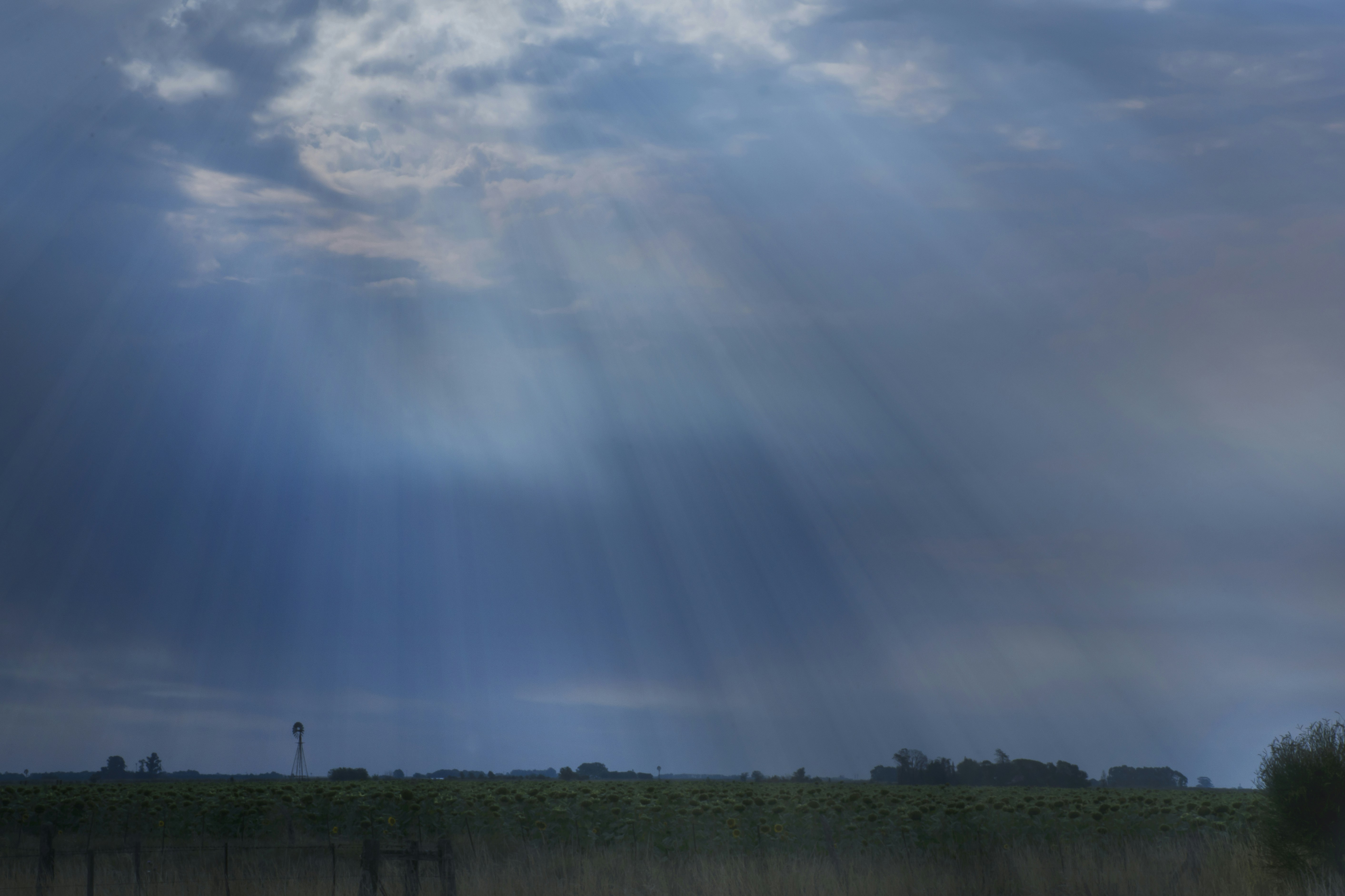 Rays of Distance Over a Quiet Horizon