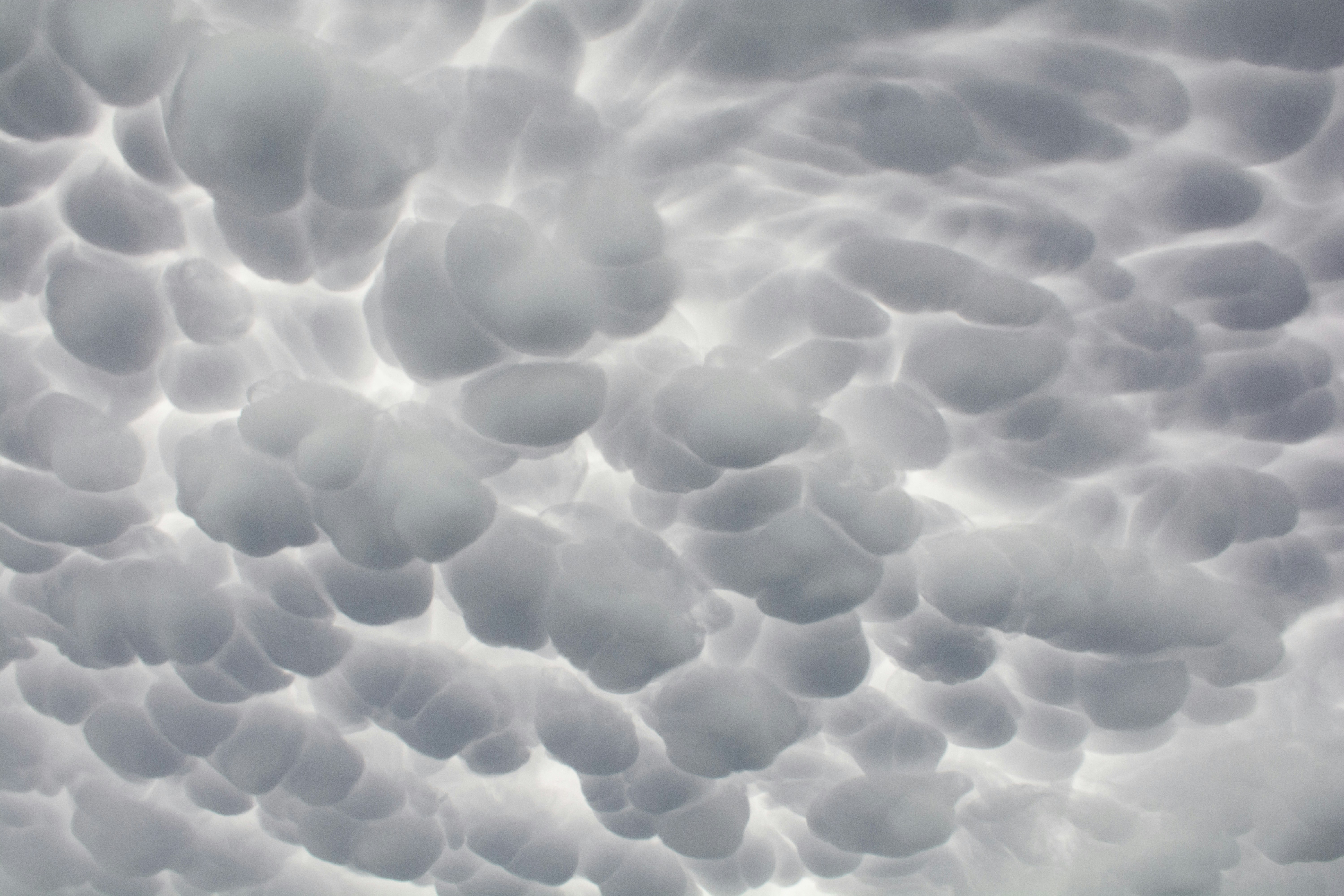 Mammatus Above the Quiet Horizon