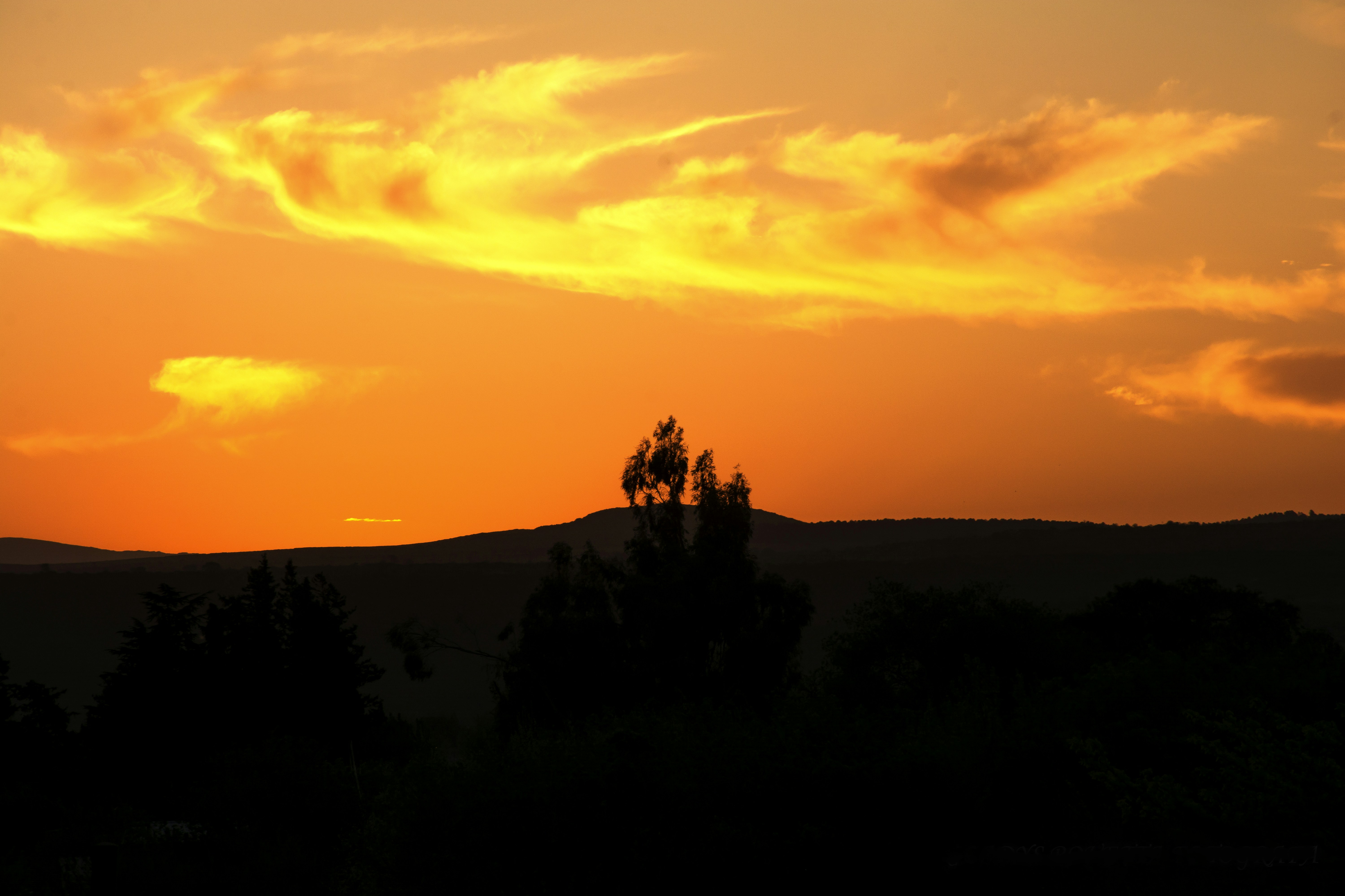 Silhouette on the Horizon at Sunset
