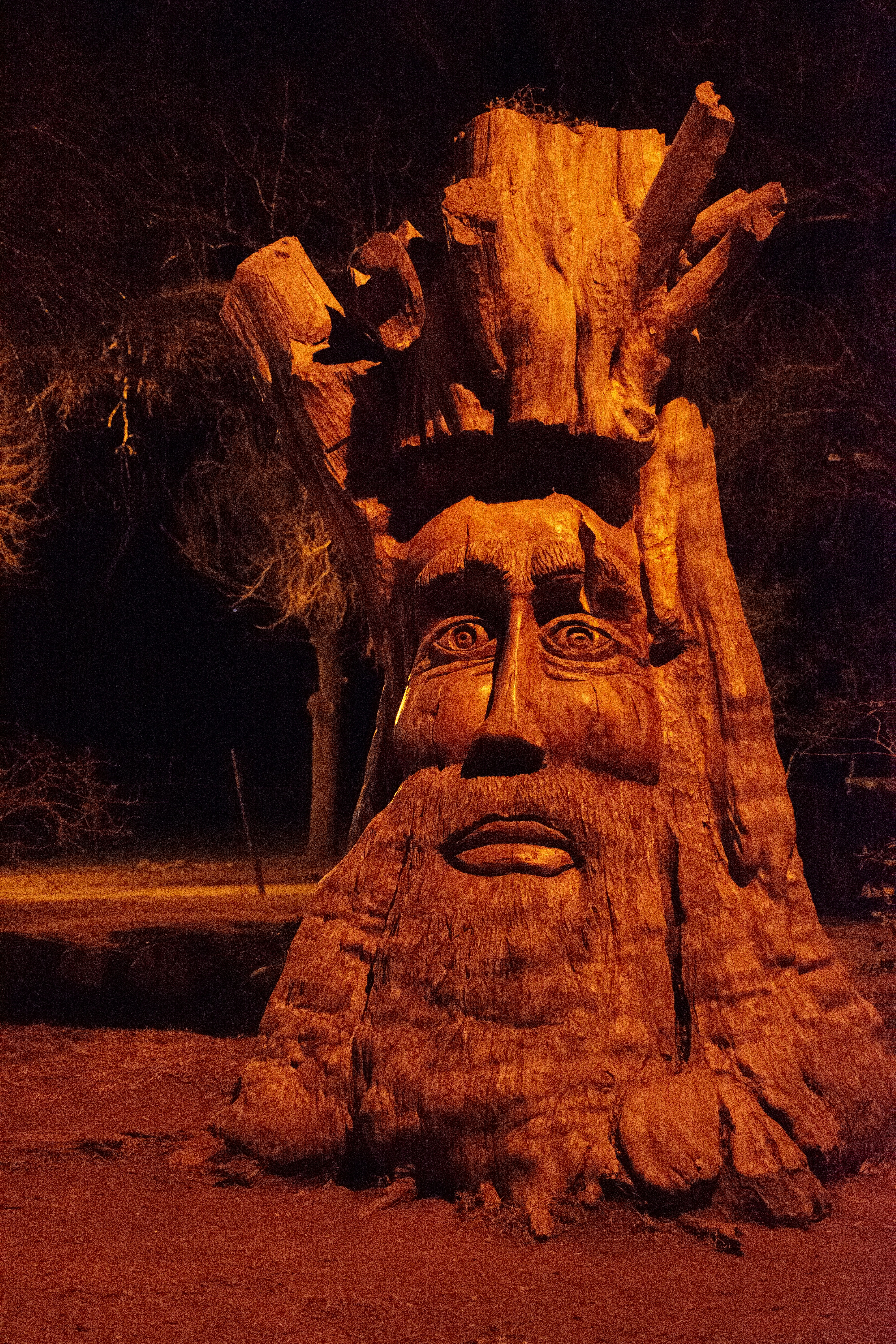 Night Whisper: The Gnarled Guardian Emerges from Ember Light