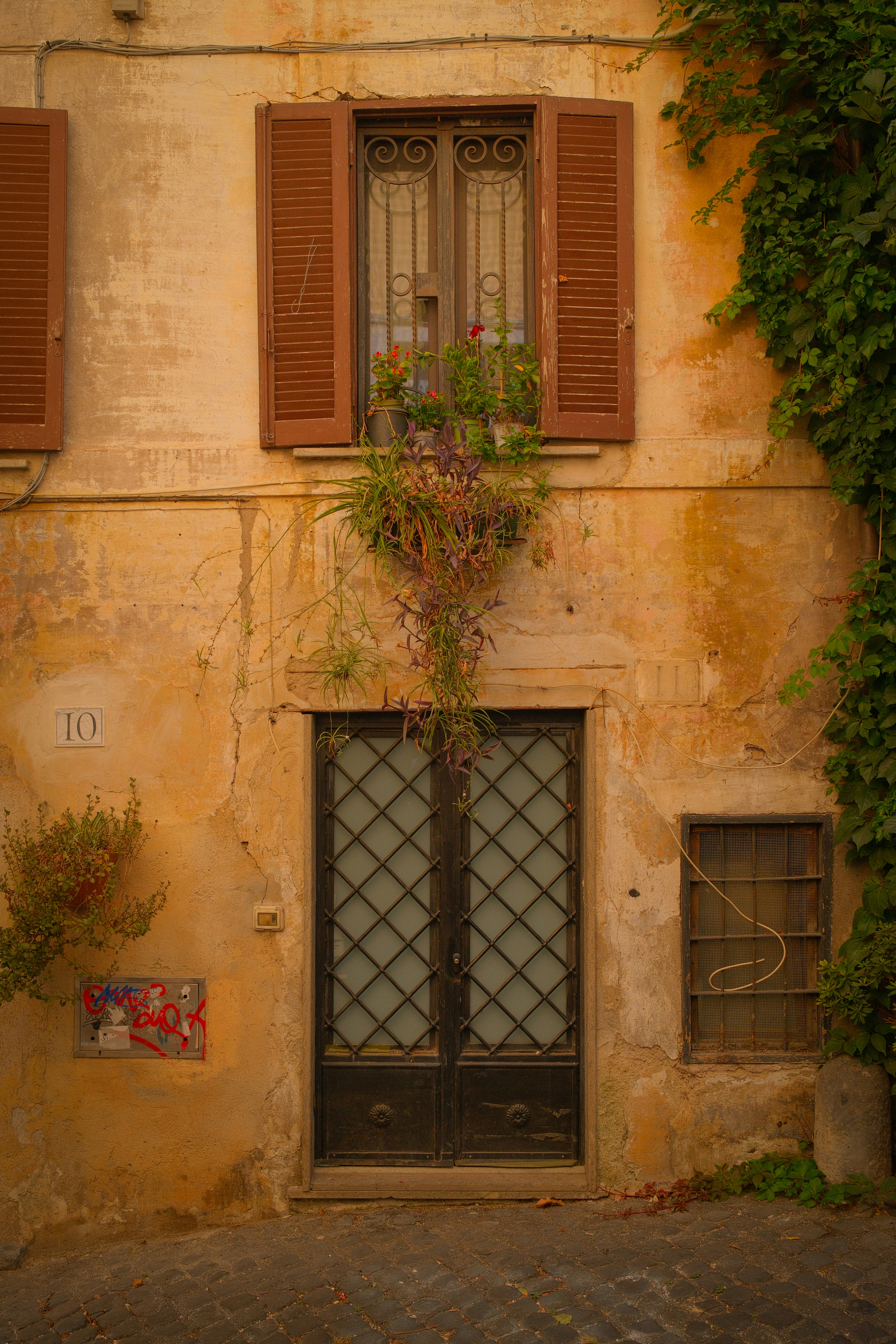 Weathered Mediterranean Facade with Aerial Plant Cascade