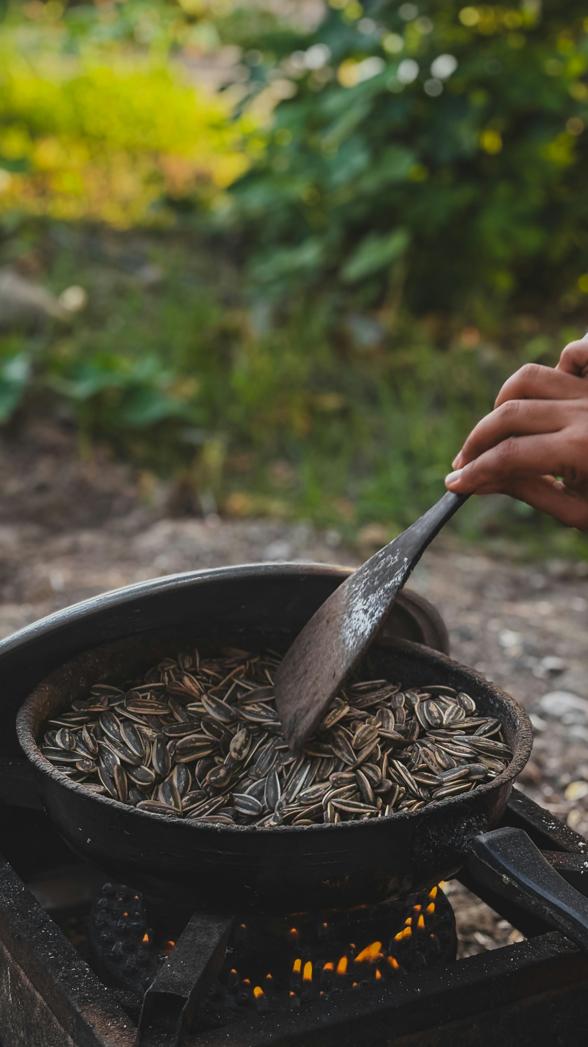 Hands stirring sunlit sunflowers seeds in a cast iron pan over an open flame
