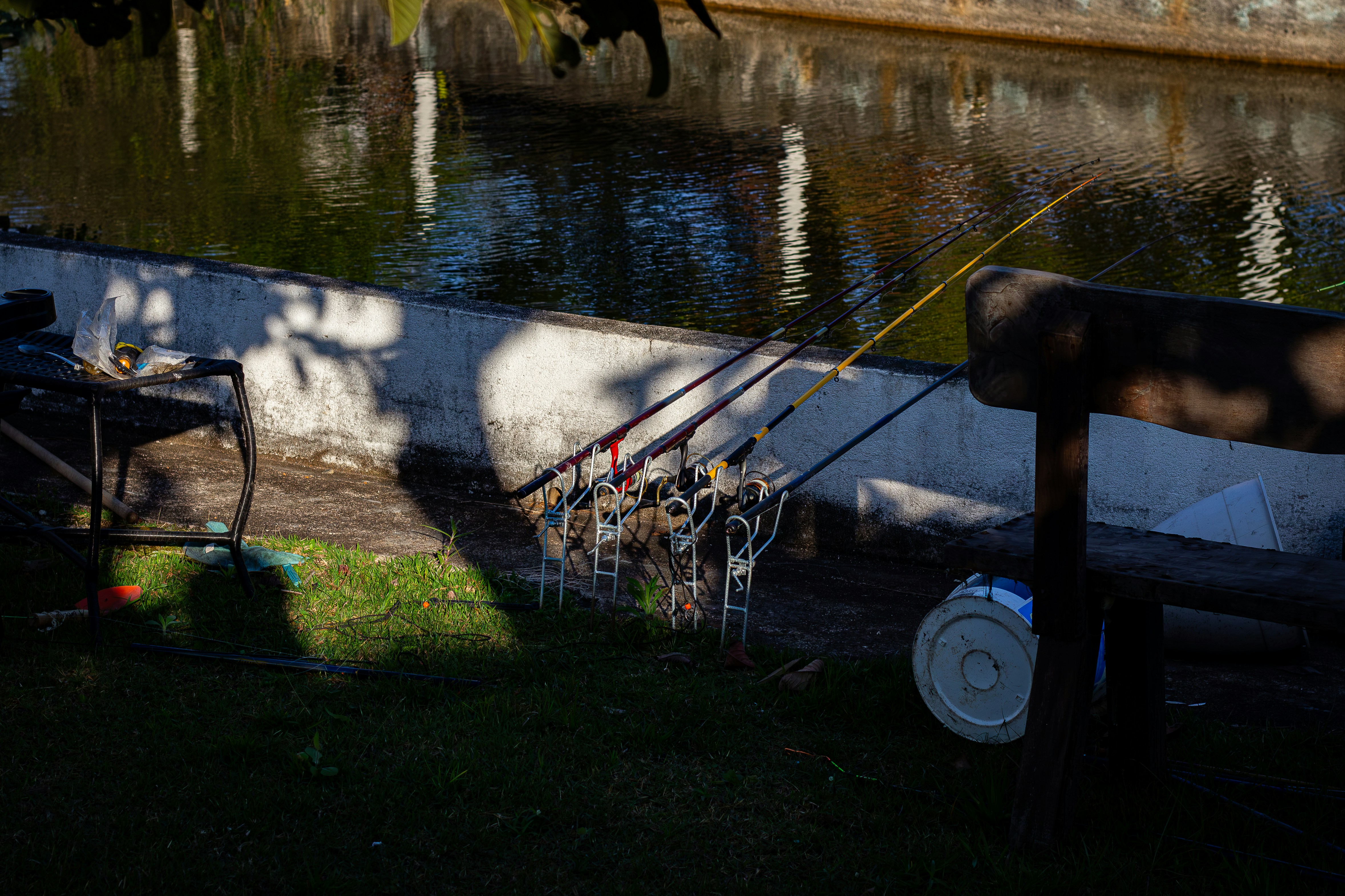 Silent Charms by the Water: A Quiet Backyard Rig