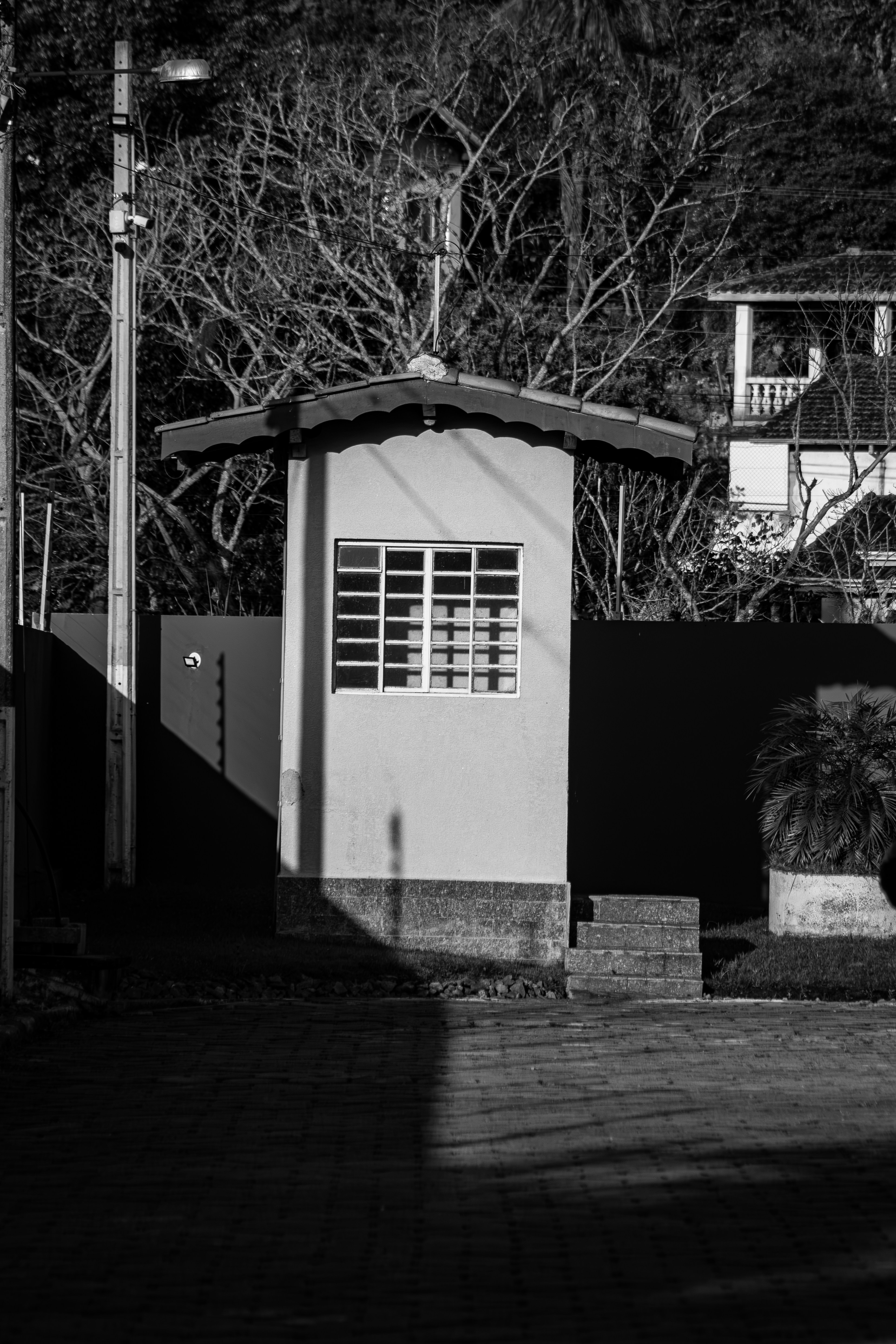 Shadowed Chequered Window: A Quiet Gatekeeper