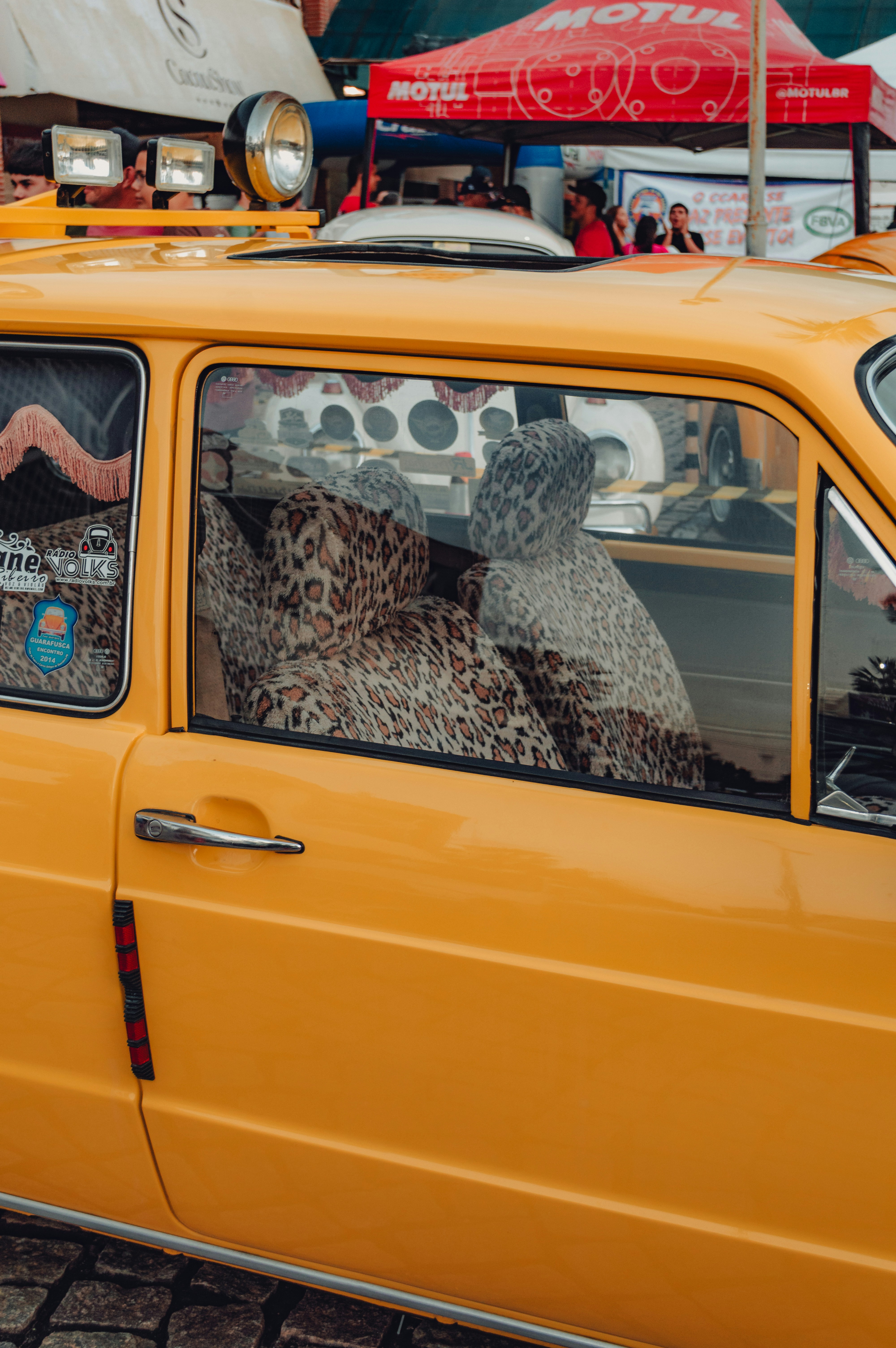 Leopard-Patterned Interiors under Amber Taxi Light