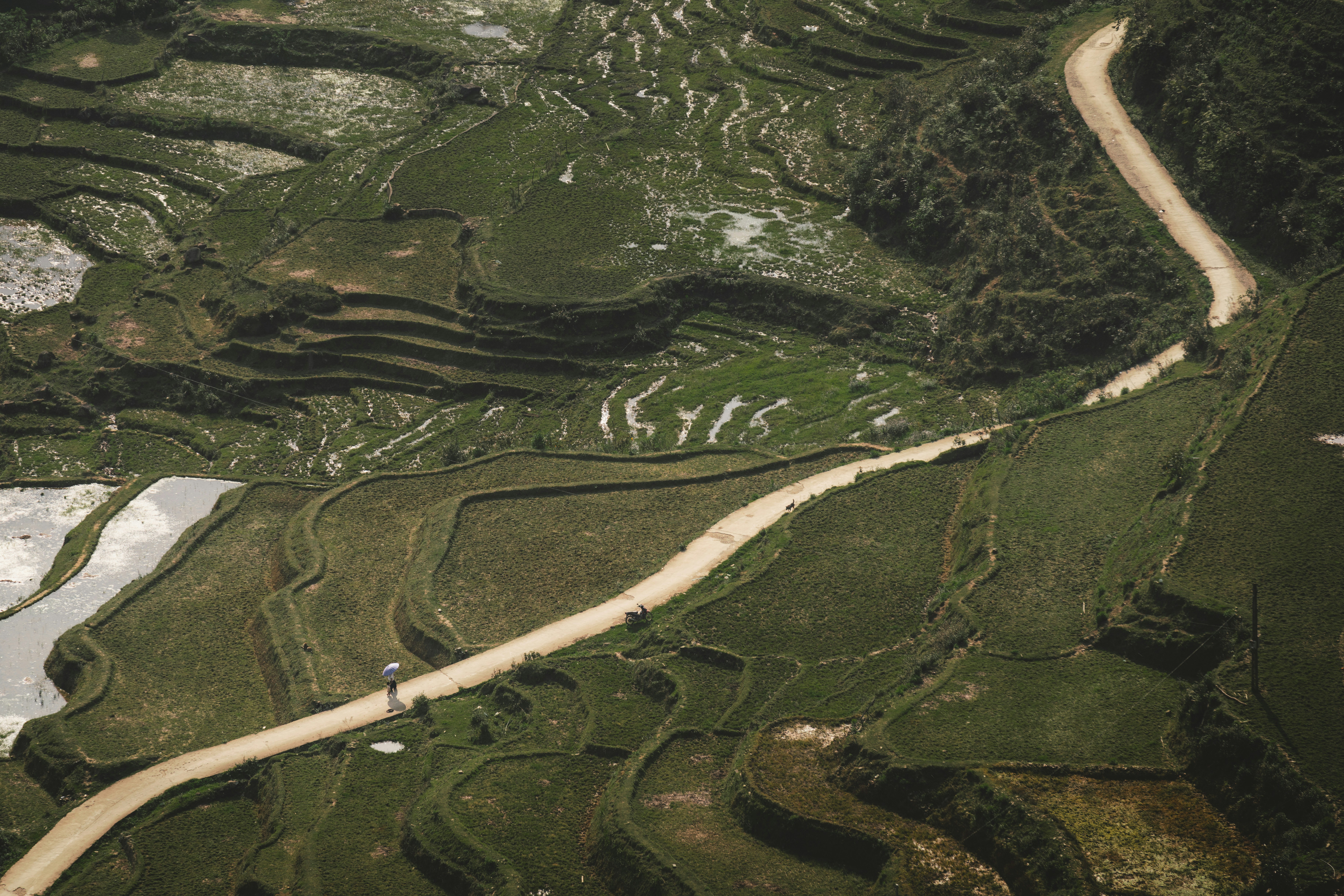 Winding rural corridor through terraced greens