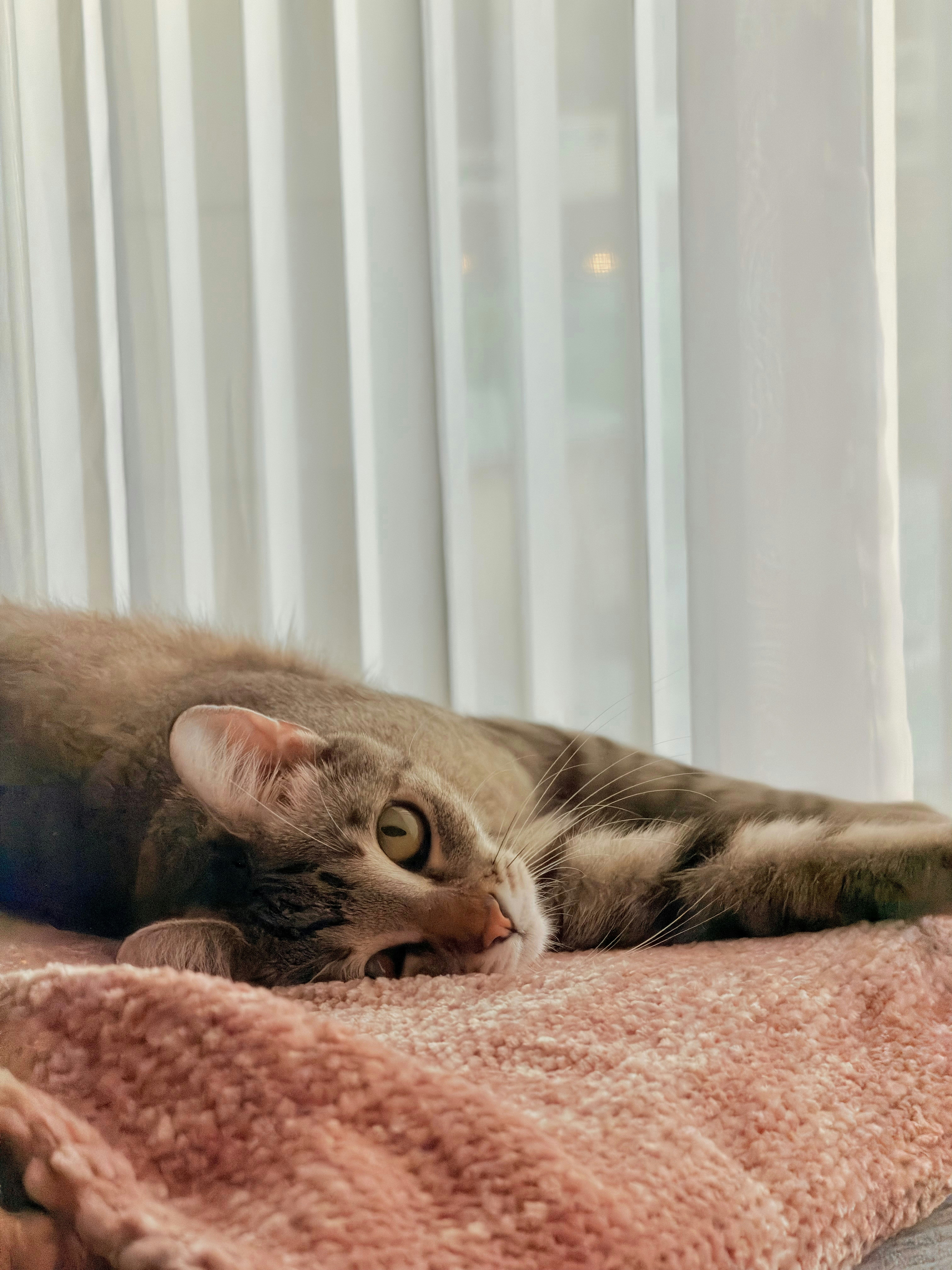 Restful Gaze by the Window