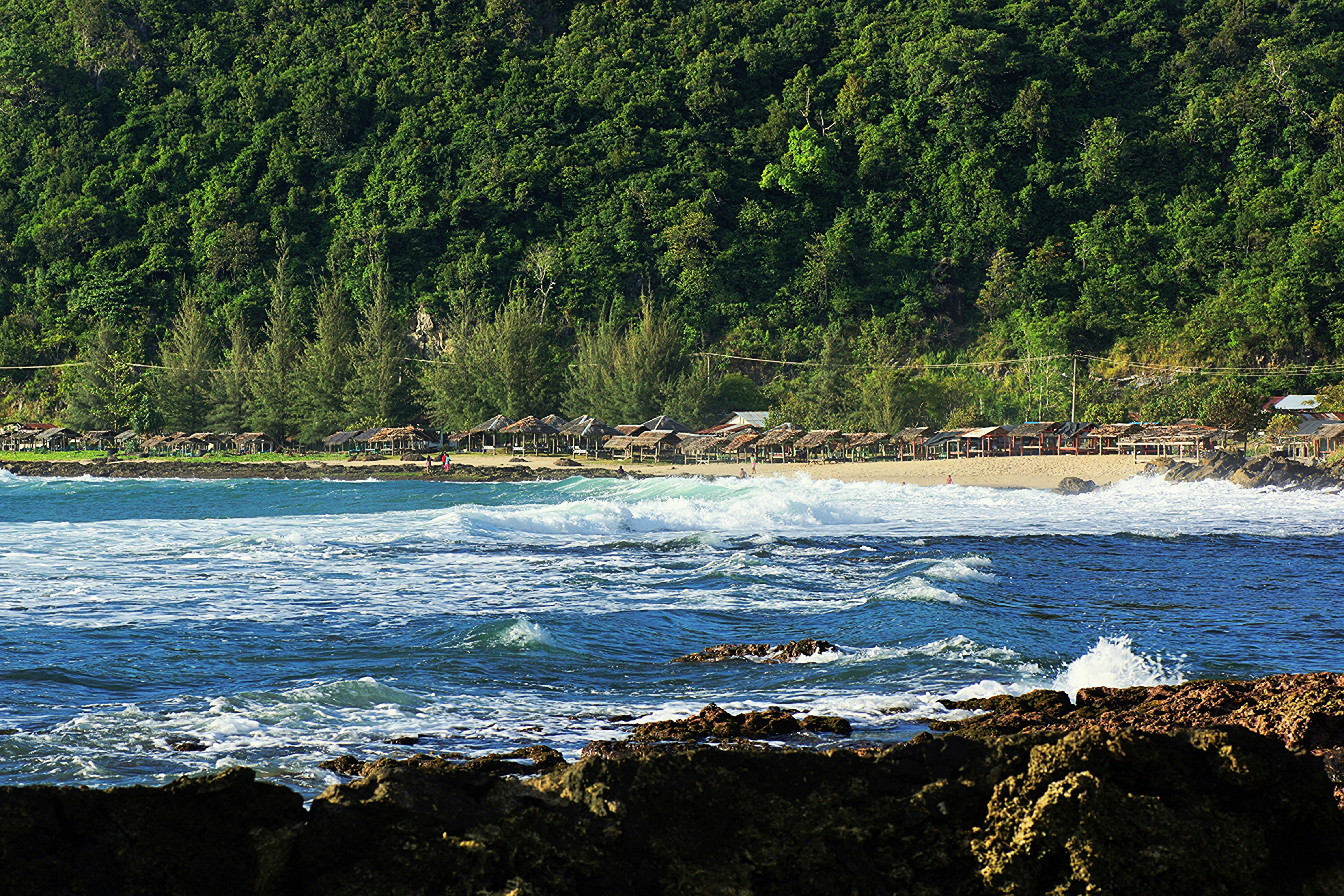Coastal Beachfront Cabins Fringed by Green Hills