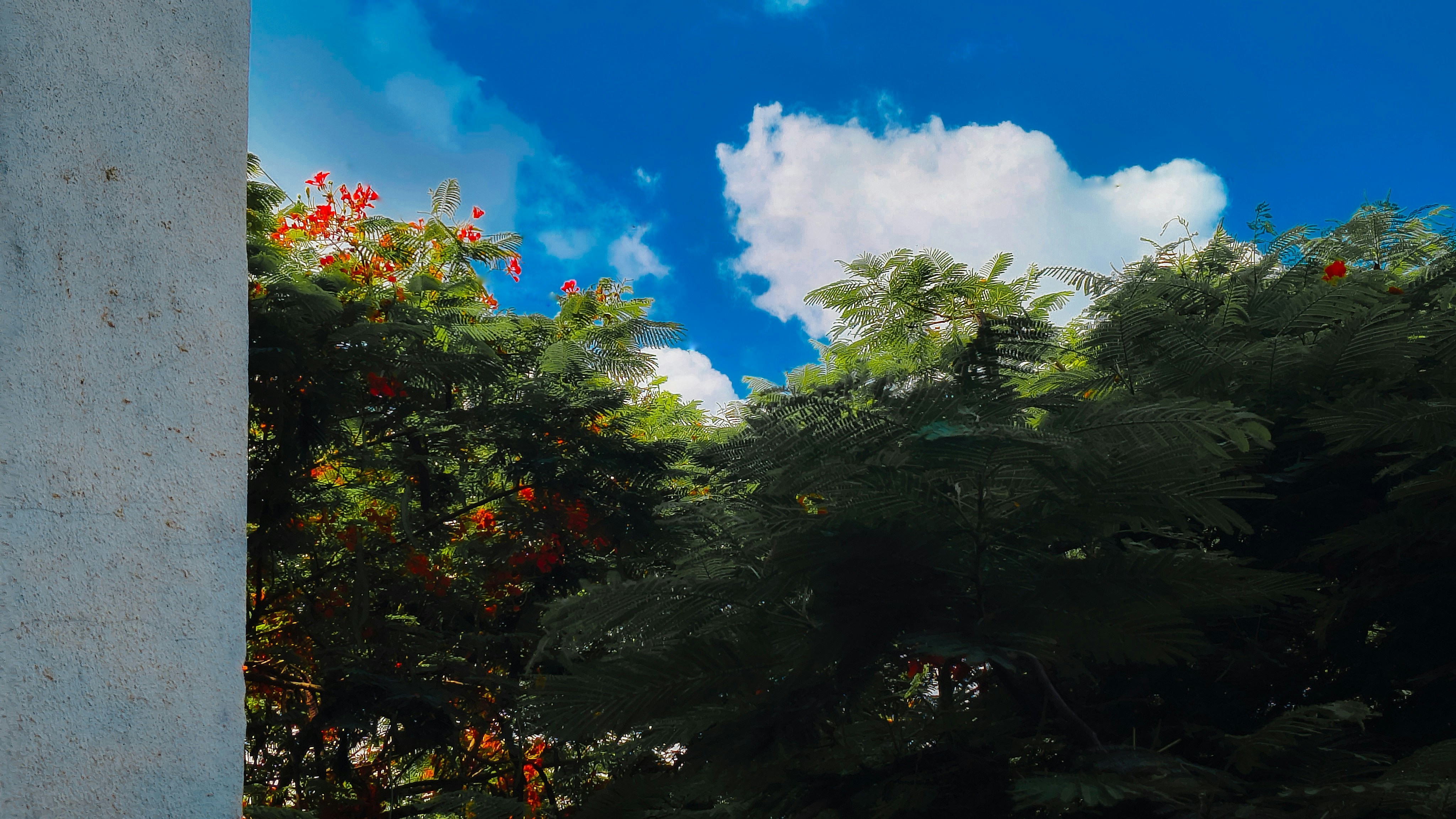 Azure Sky and Verdant Archway