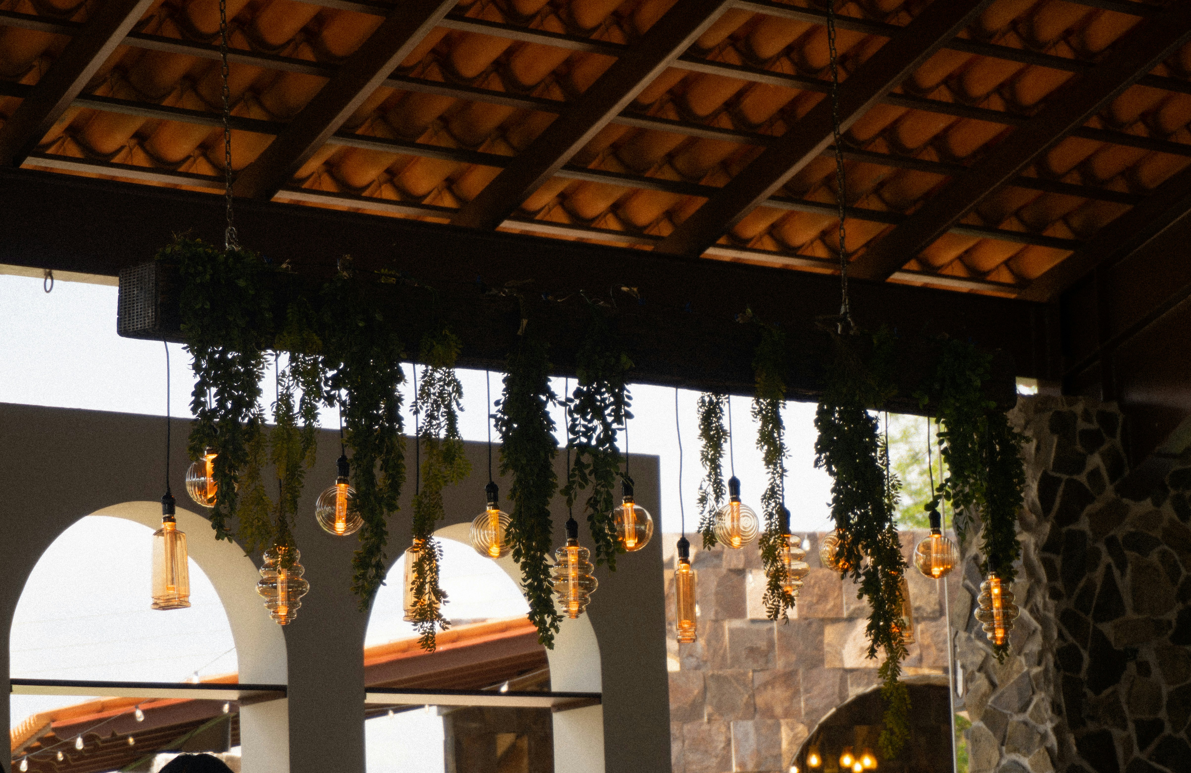 Hanging foliage and warm Edison bulbs in a sunlit courtyard nook