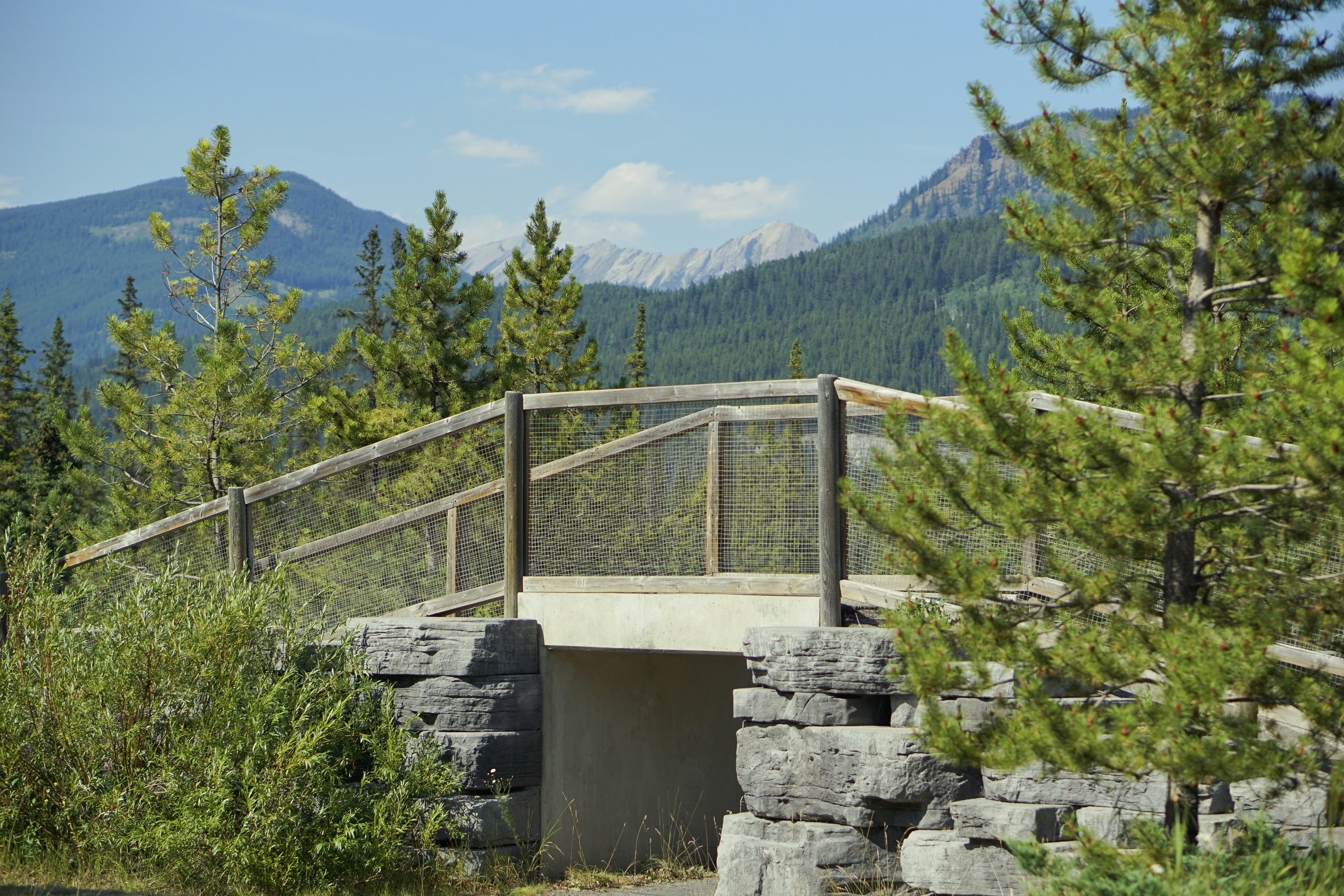 Bridge Over Pine Terrace