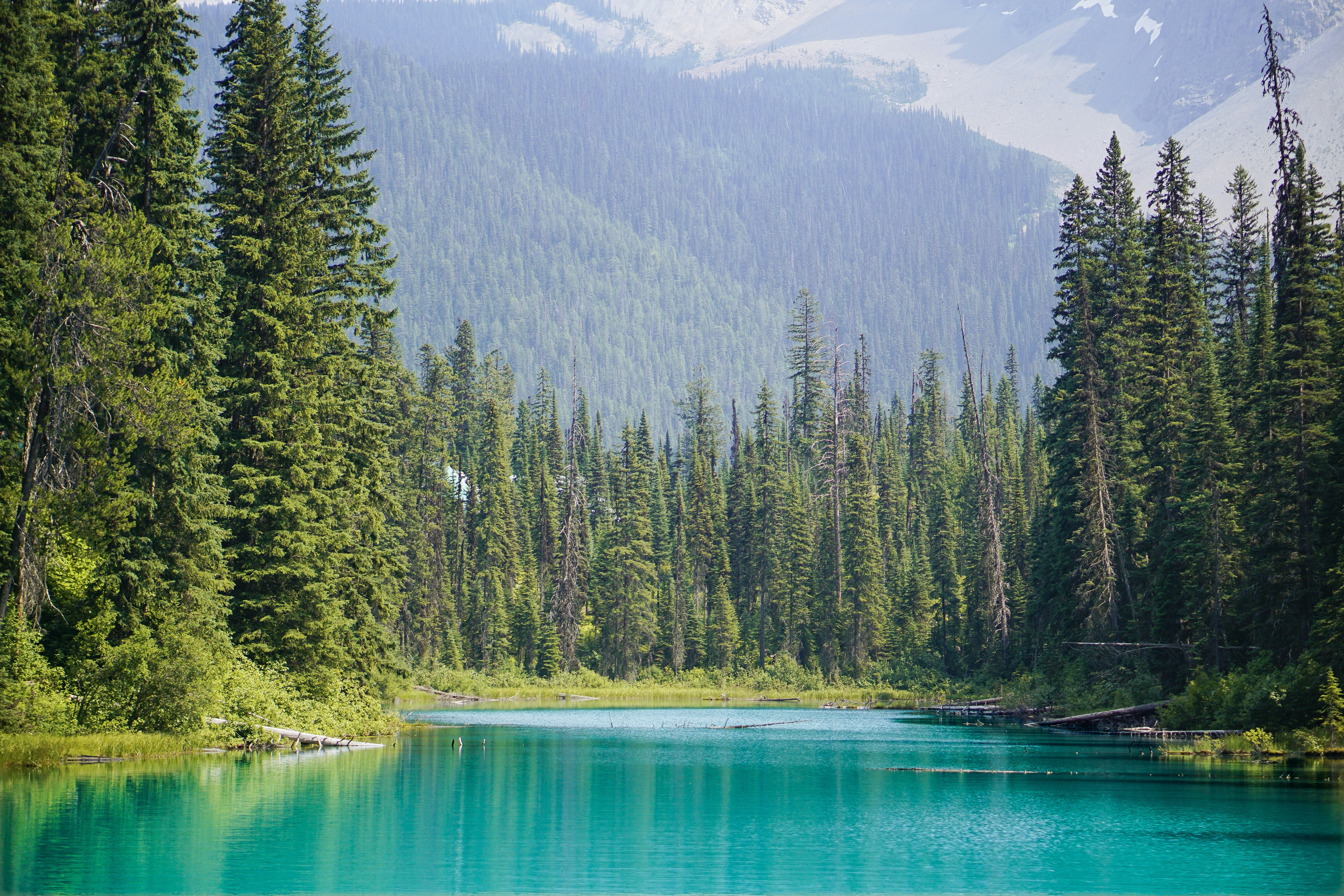 Emerald Mirror: A Glacier-Blue Lake Framed by Pines