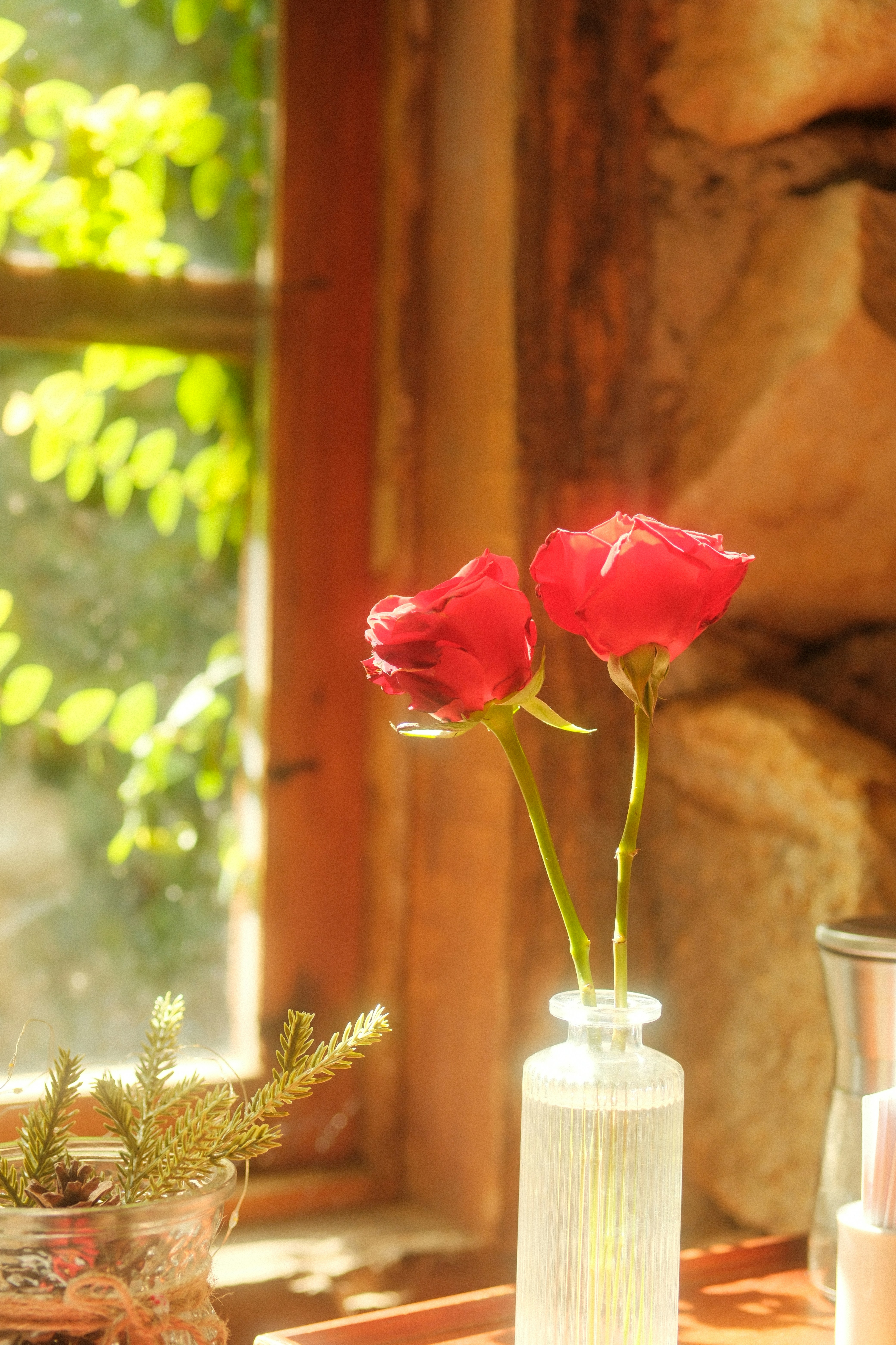 Two Red Rose Buds in a Glass Vase Against Rustic Window and Stone Wall