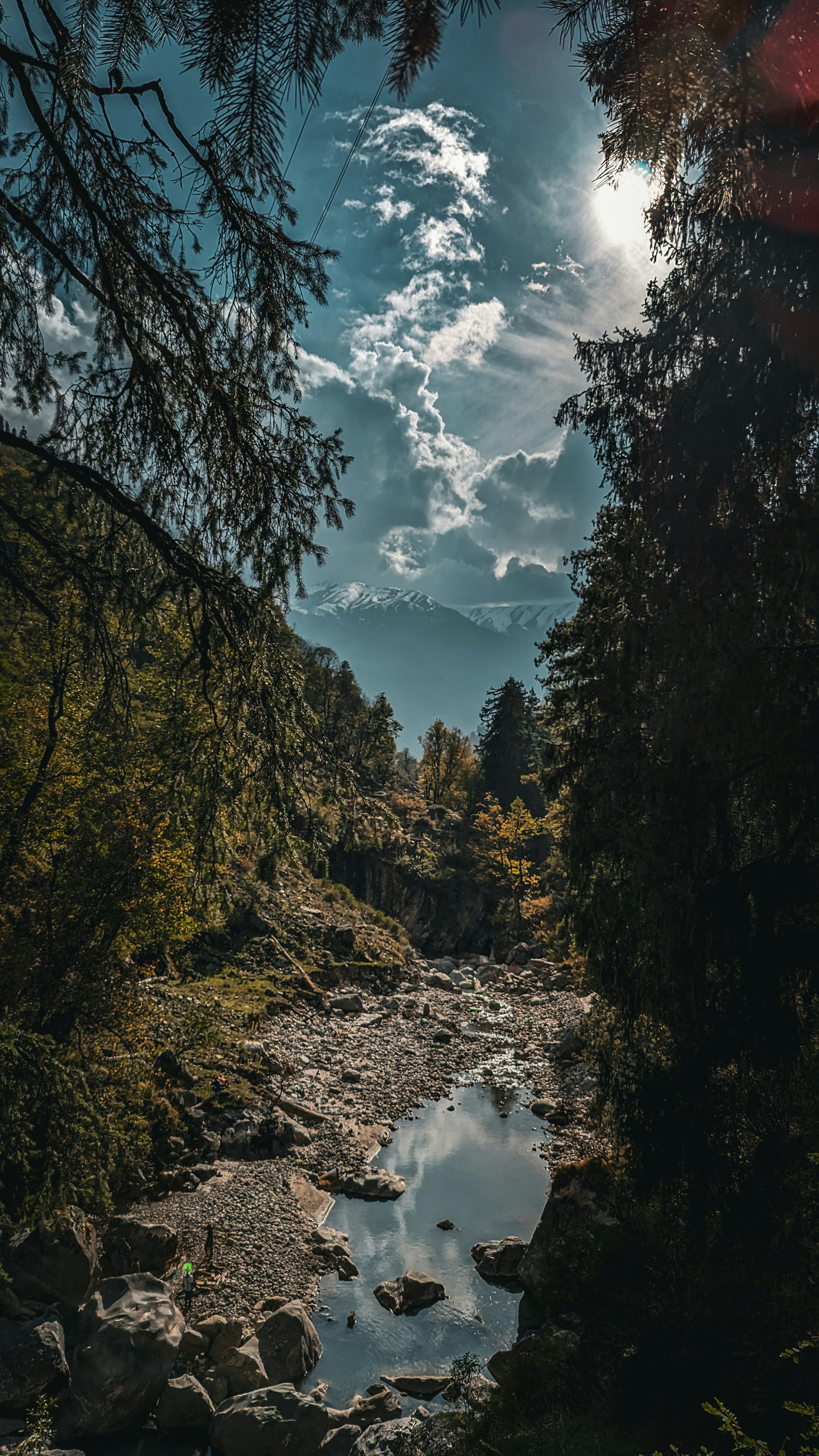 A quiet mountain stream winding through the forests of Tosh, Himachal Pradesh, with snow-covered Himalayan peaks appearing in the distance. Surrounded by pine trees, rocky trails and the dramatic landscapes of Parvati Valley, this scene captures the peaceful side of Tosh away from the busy tourist circuit. The Tosh region is known for its mountain trails, forests, streams and spectacular views of the surrounding Himalayas, making it a beautiful destination for trekking, nature photography and slow travel.