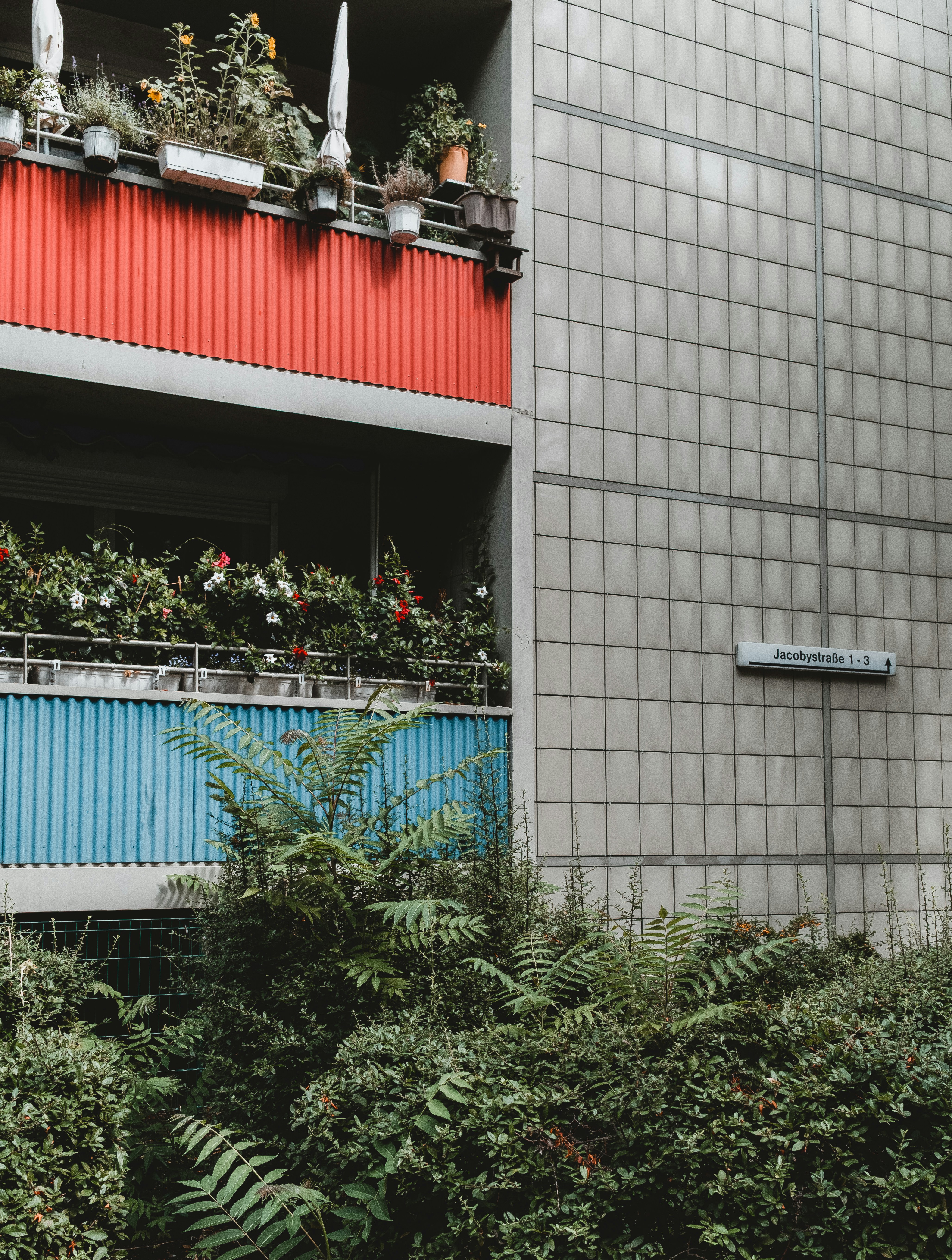Urban balcony mosaic: red, blue, and greenery above a tiled concrete wall