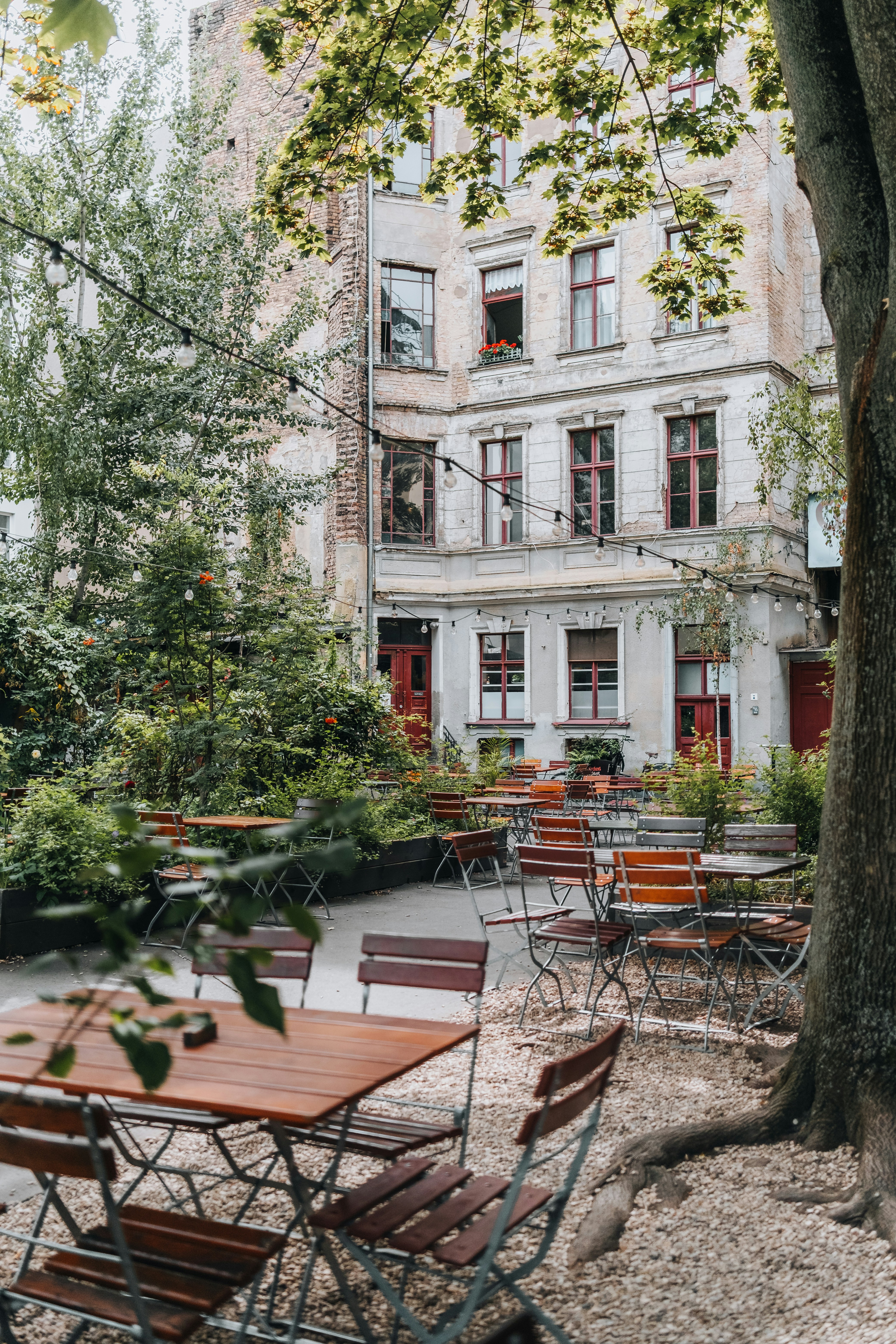 Cobbled Café Courtyard Framed by Autumn Canopy