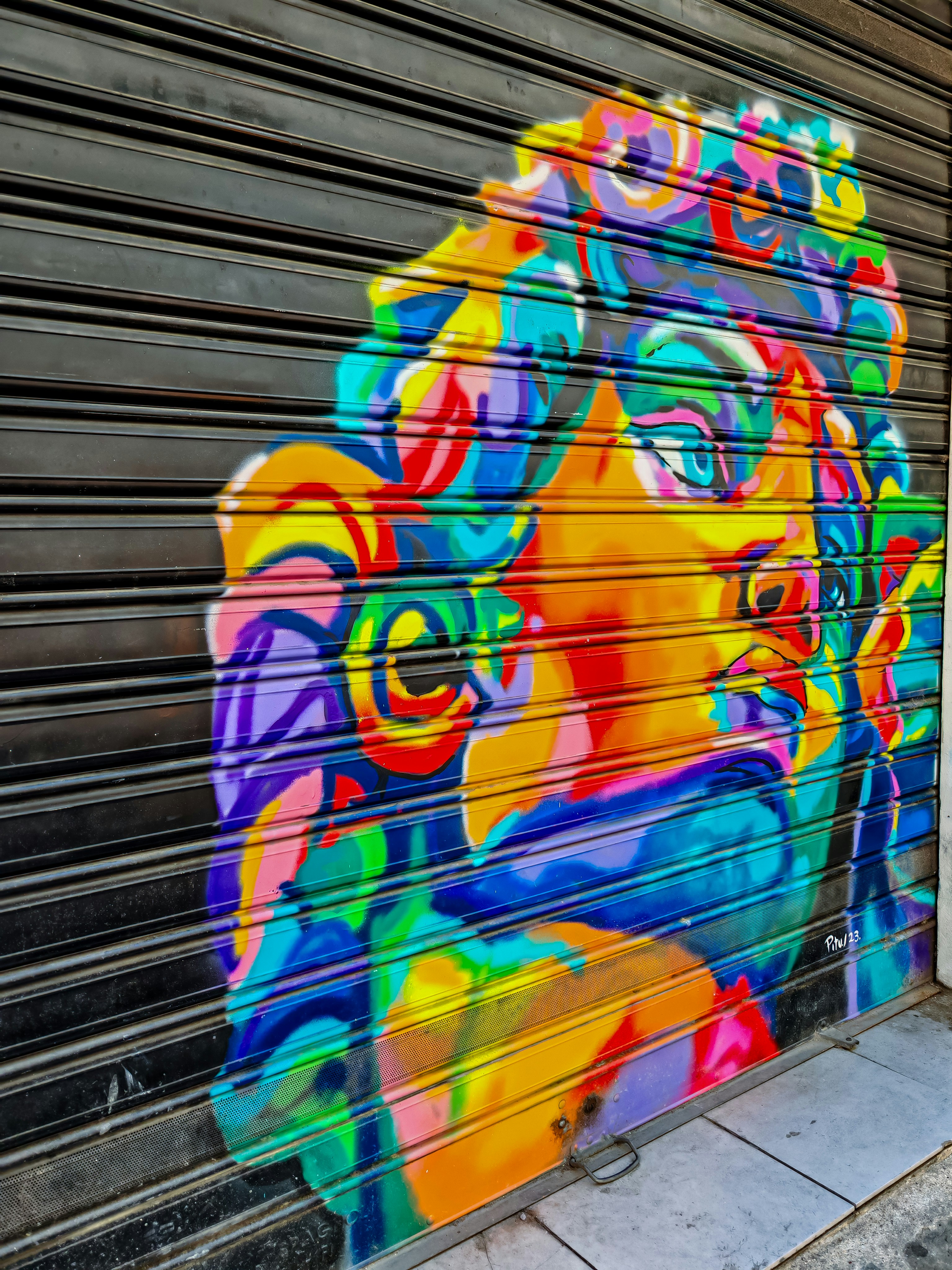 Bright mural portrait painted on a corrugated metal shutter, capturing dynamic colors and bold lines in an urban setting.
