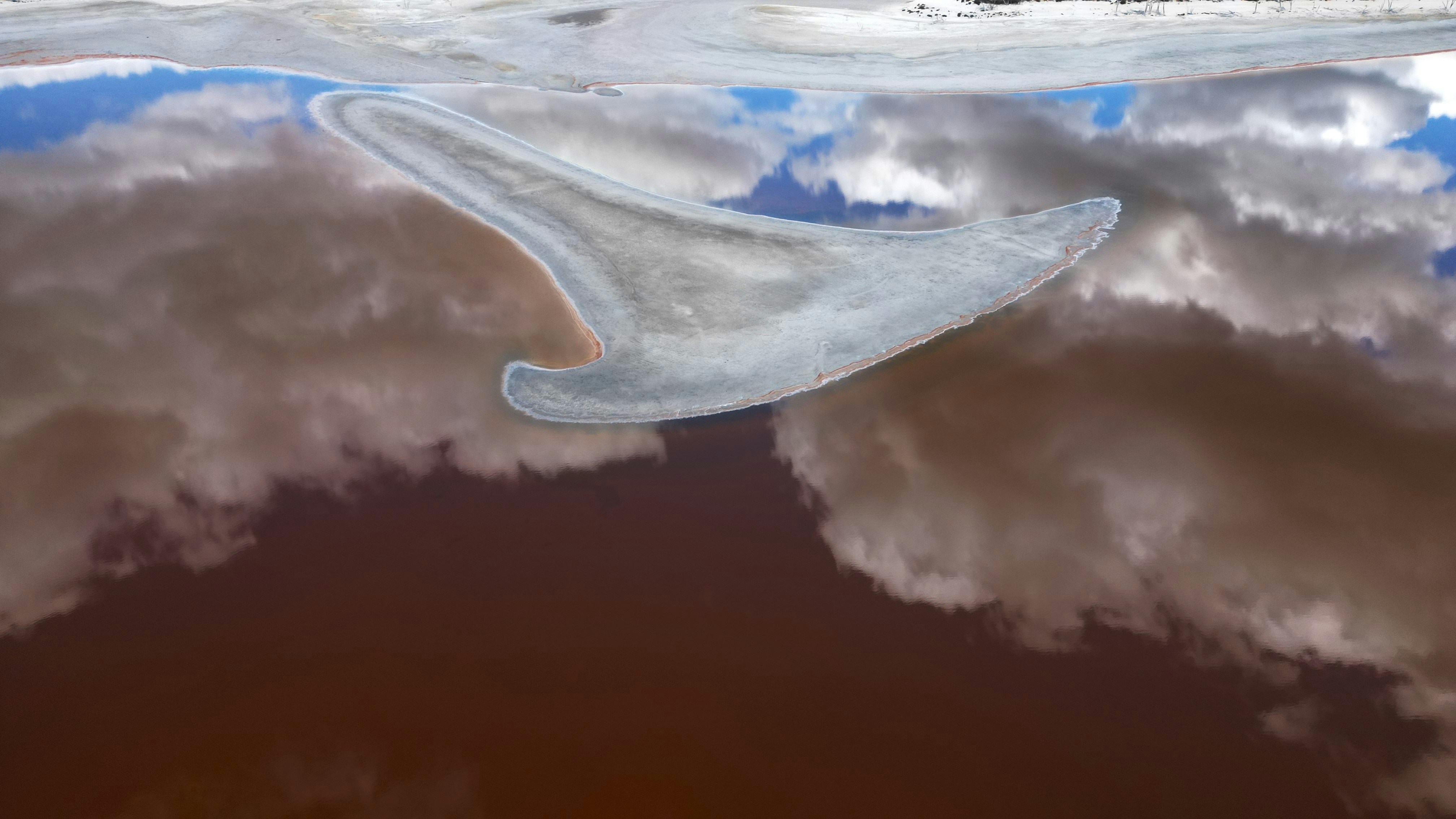 Liquid Mirror Wing Swoop Over a Reddish Habitat