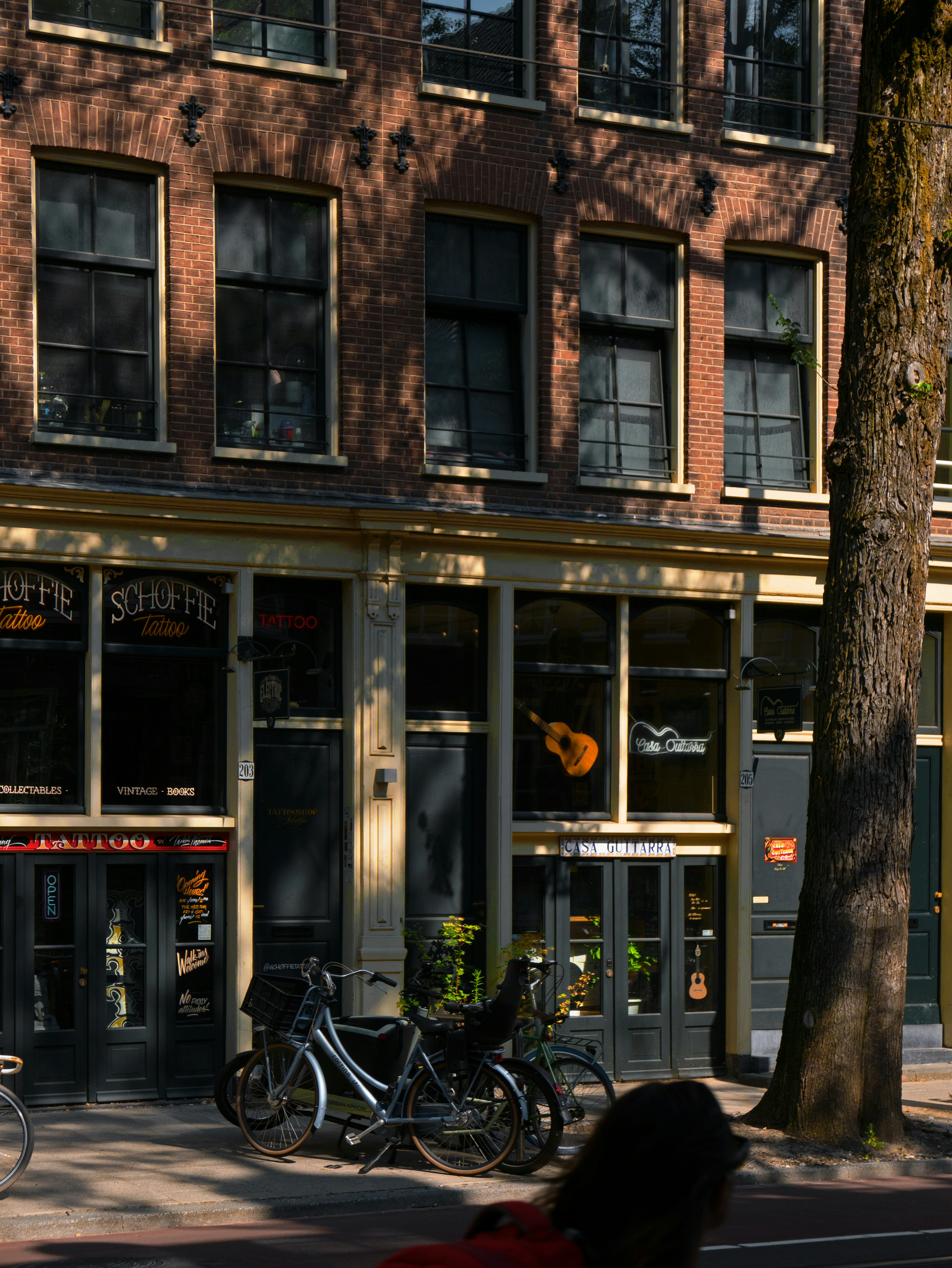Sunlit brick storefronts framed by bicycles and a towering tree