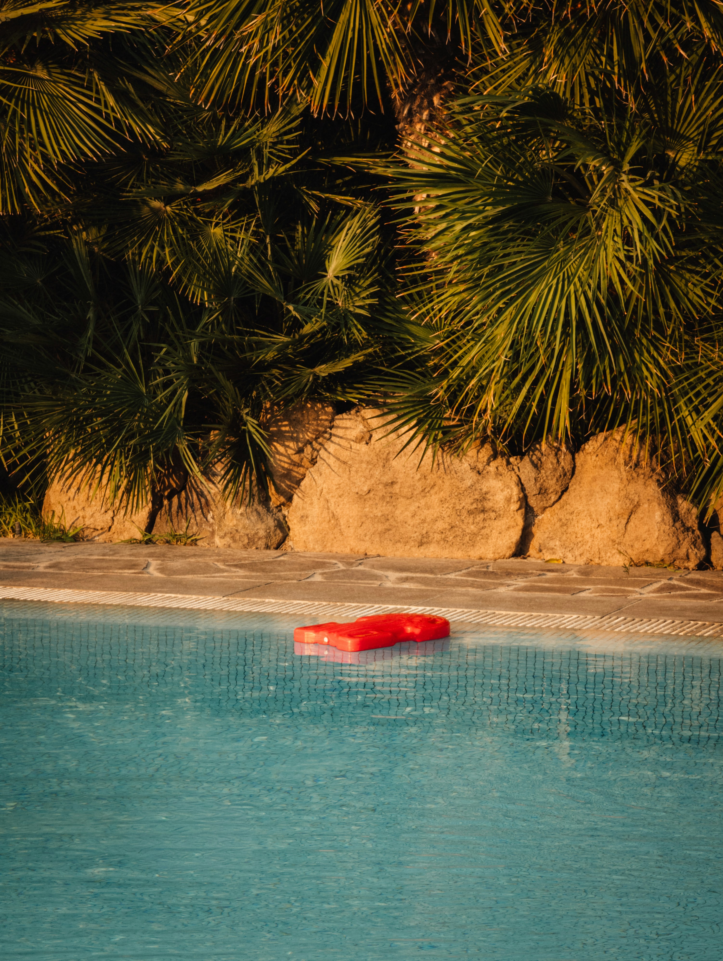 Red Floater in a Pool Oasis