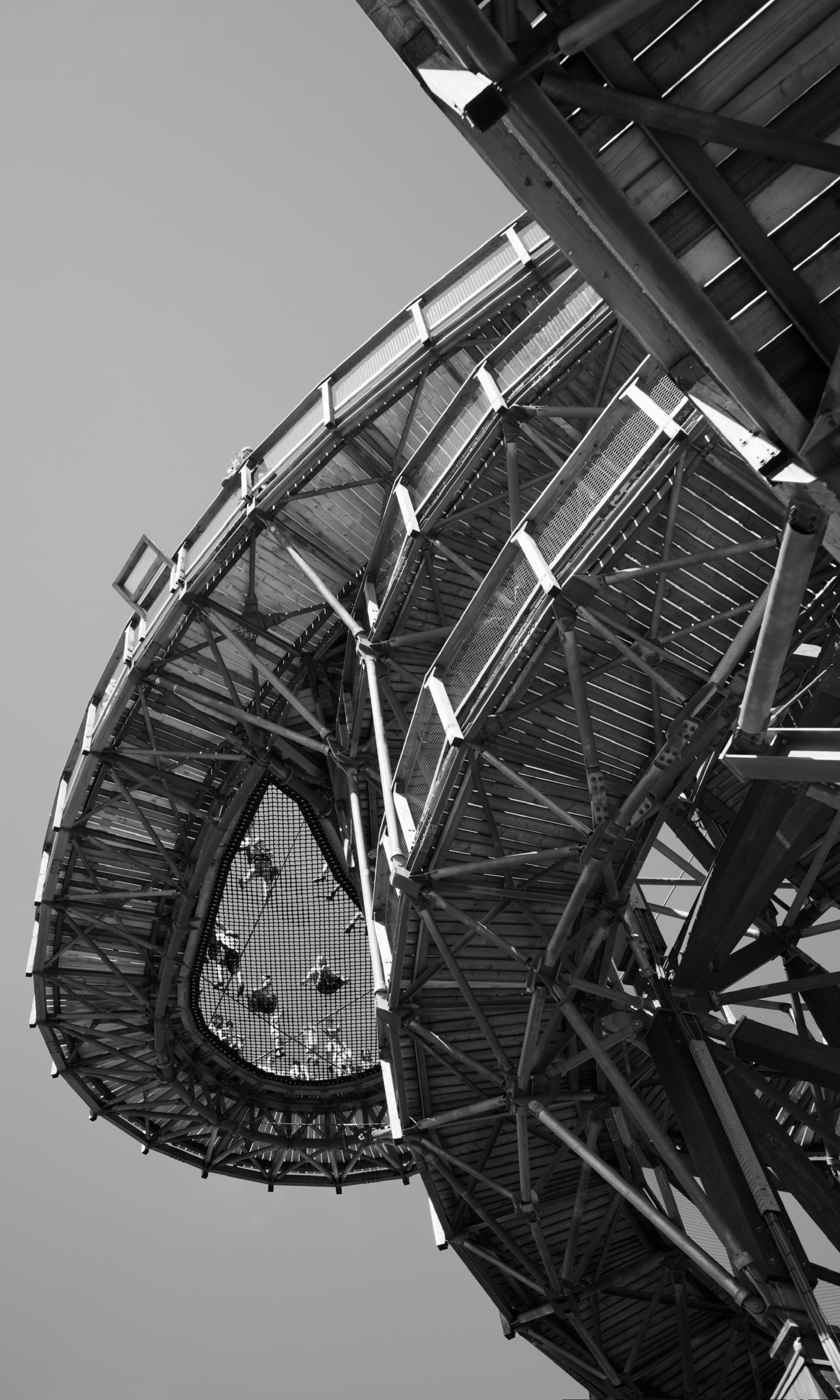 Stellar Frame: The Curves and Cables of a Steel Structure