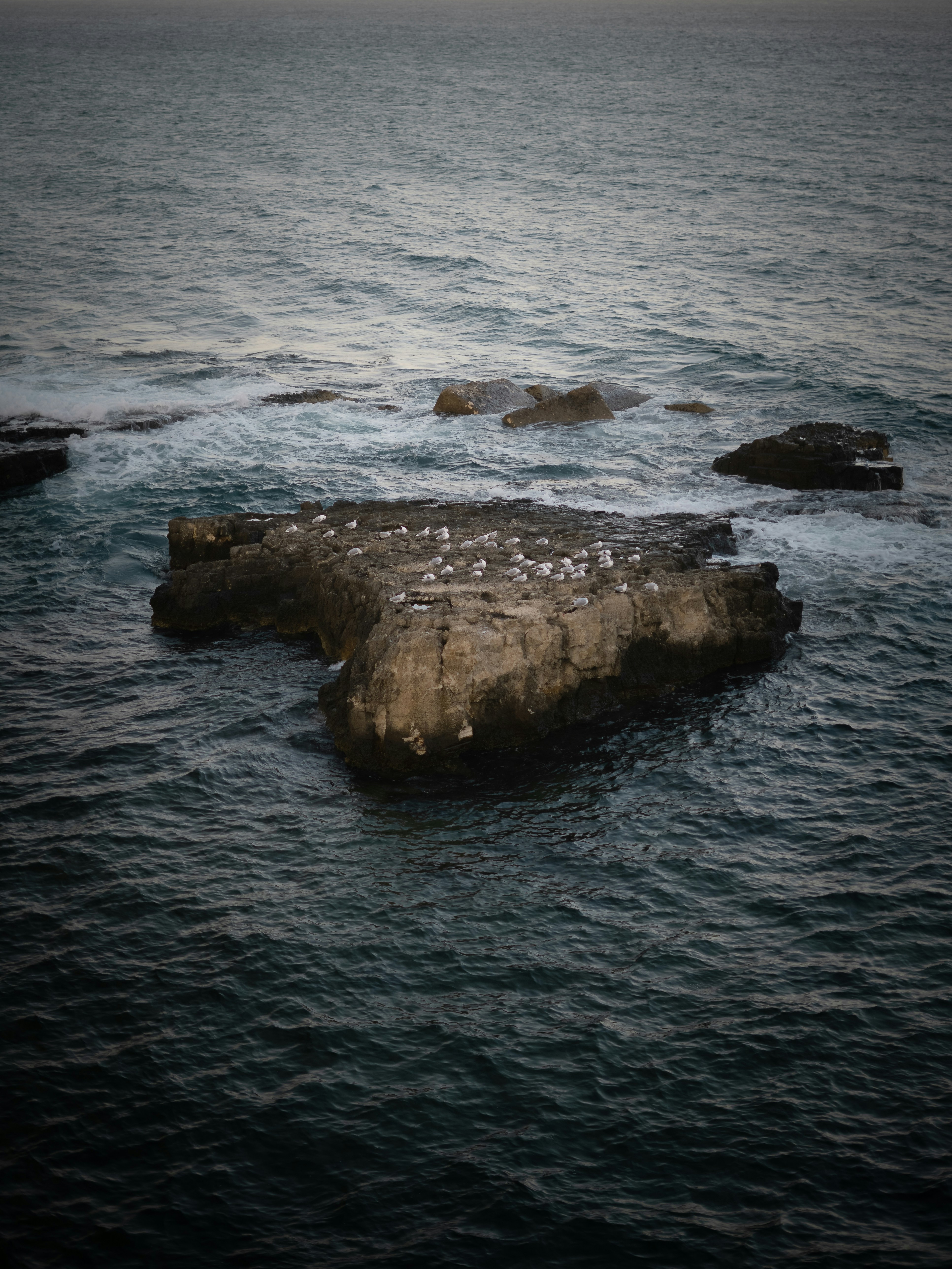 Seabed Outcrop: A Colony of Seabirds on a Weathered Rock