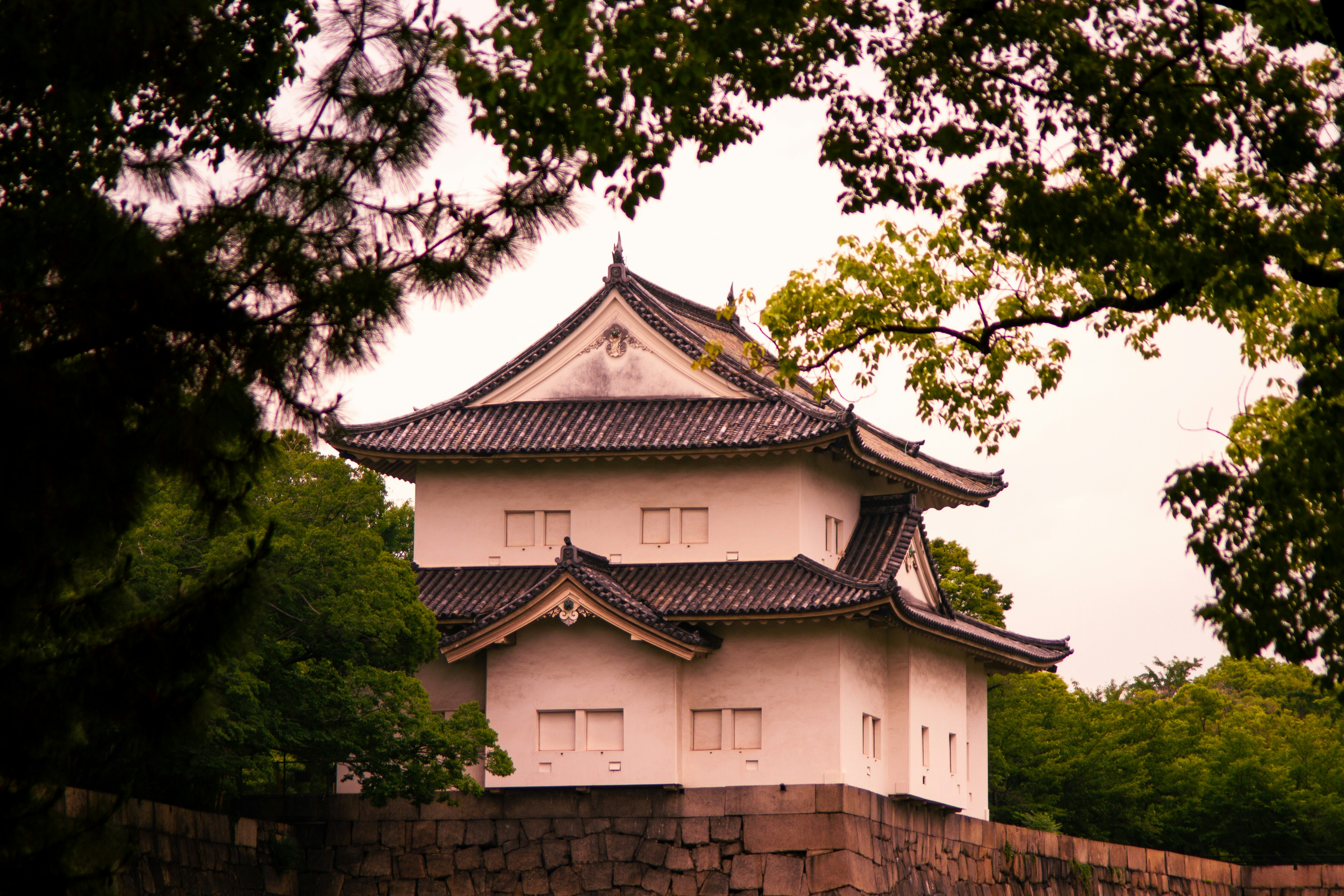 Castle on the Stone Terrace: Quiet Proceedings Through Verdant Frame