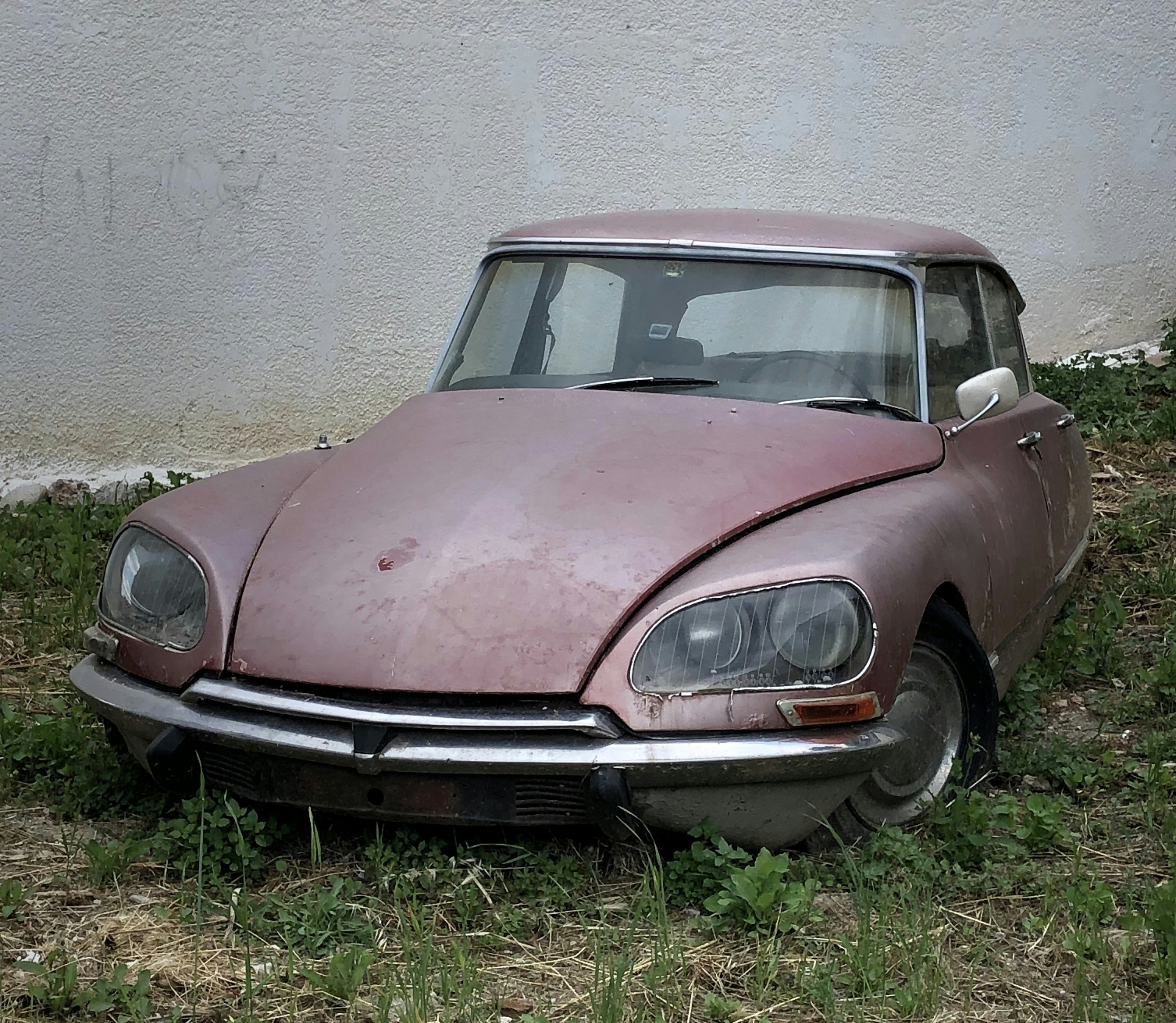Dusty vintage coupe resting in a grassy lot