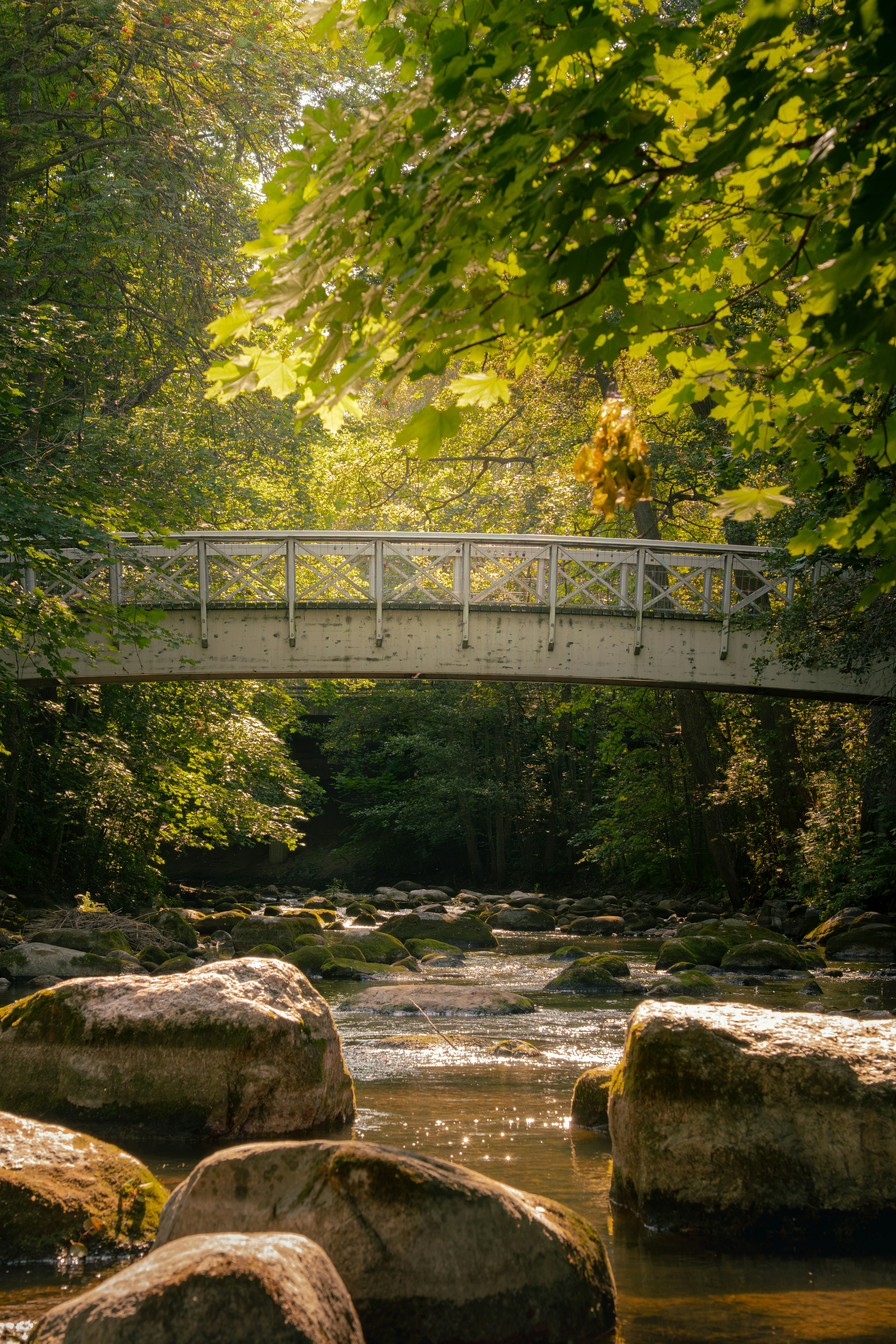 Bridge over a Sunlit River: Quiet Autumn Morning