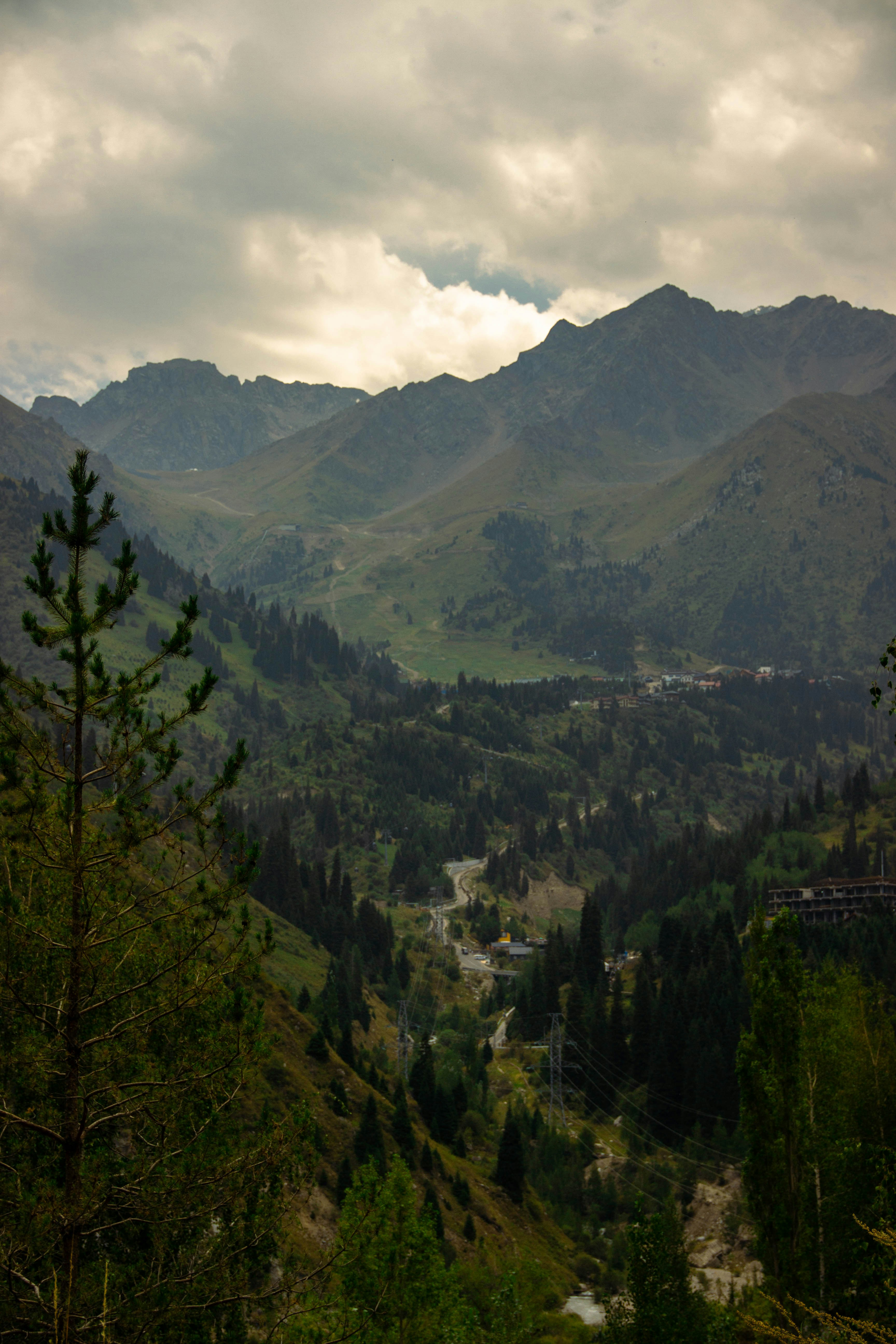 Valley Road Through the Pines Beneath Alpine Peaks