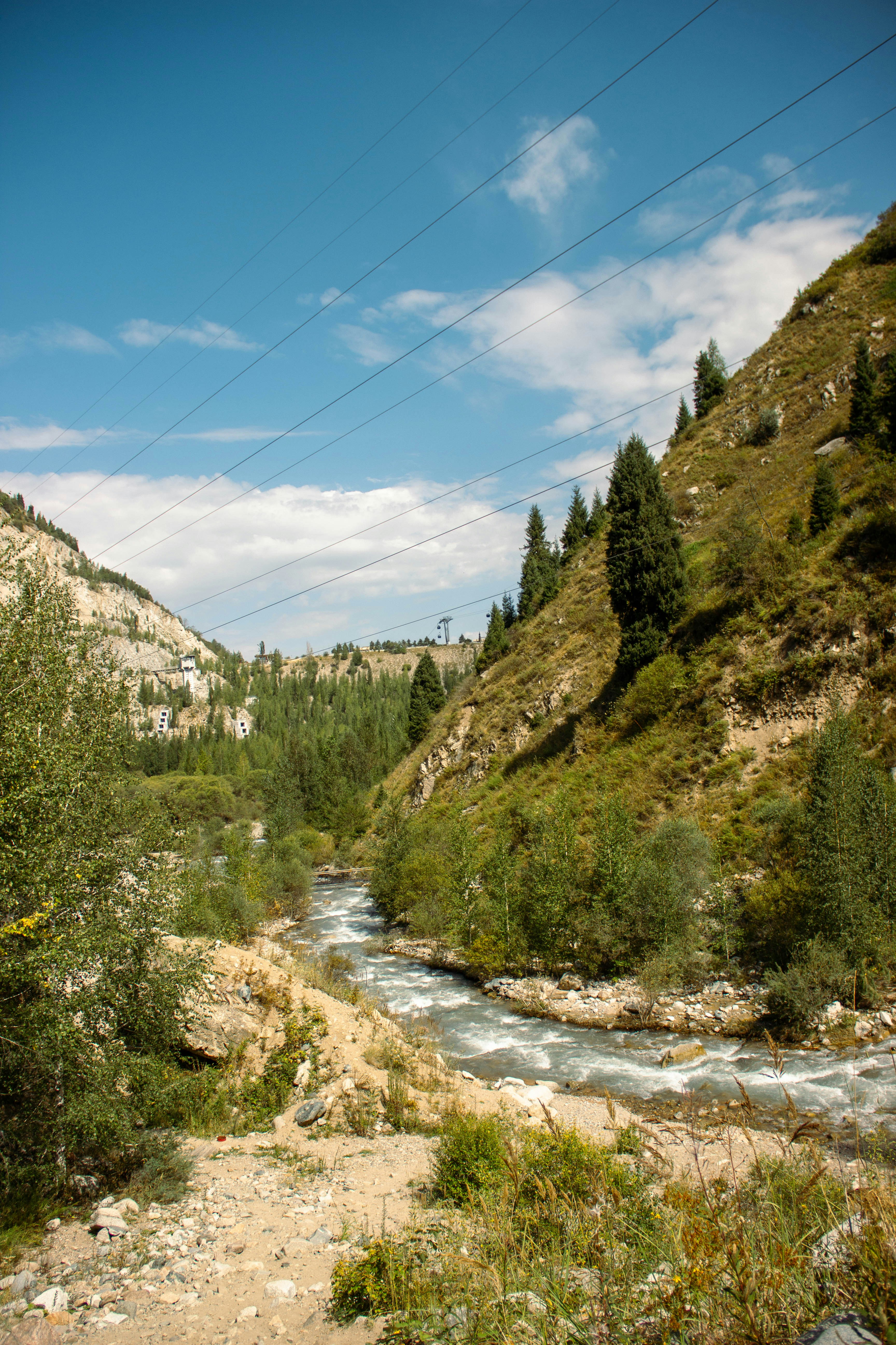 Rushing Creek Between Forested Cliffs Under a Clear Sky
