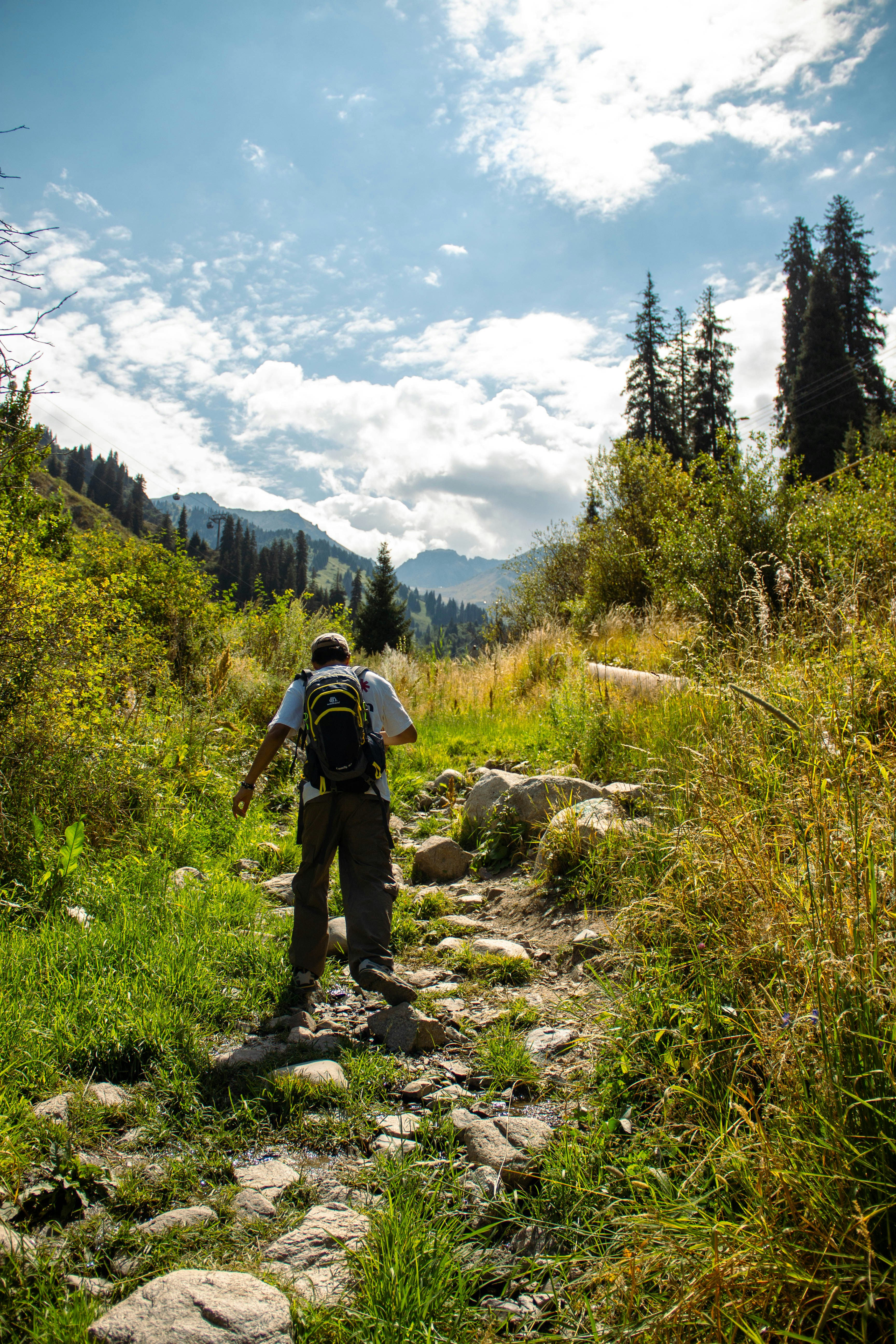 Path to the Mountain Light: A Hiker's Ascent