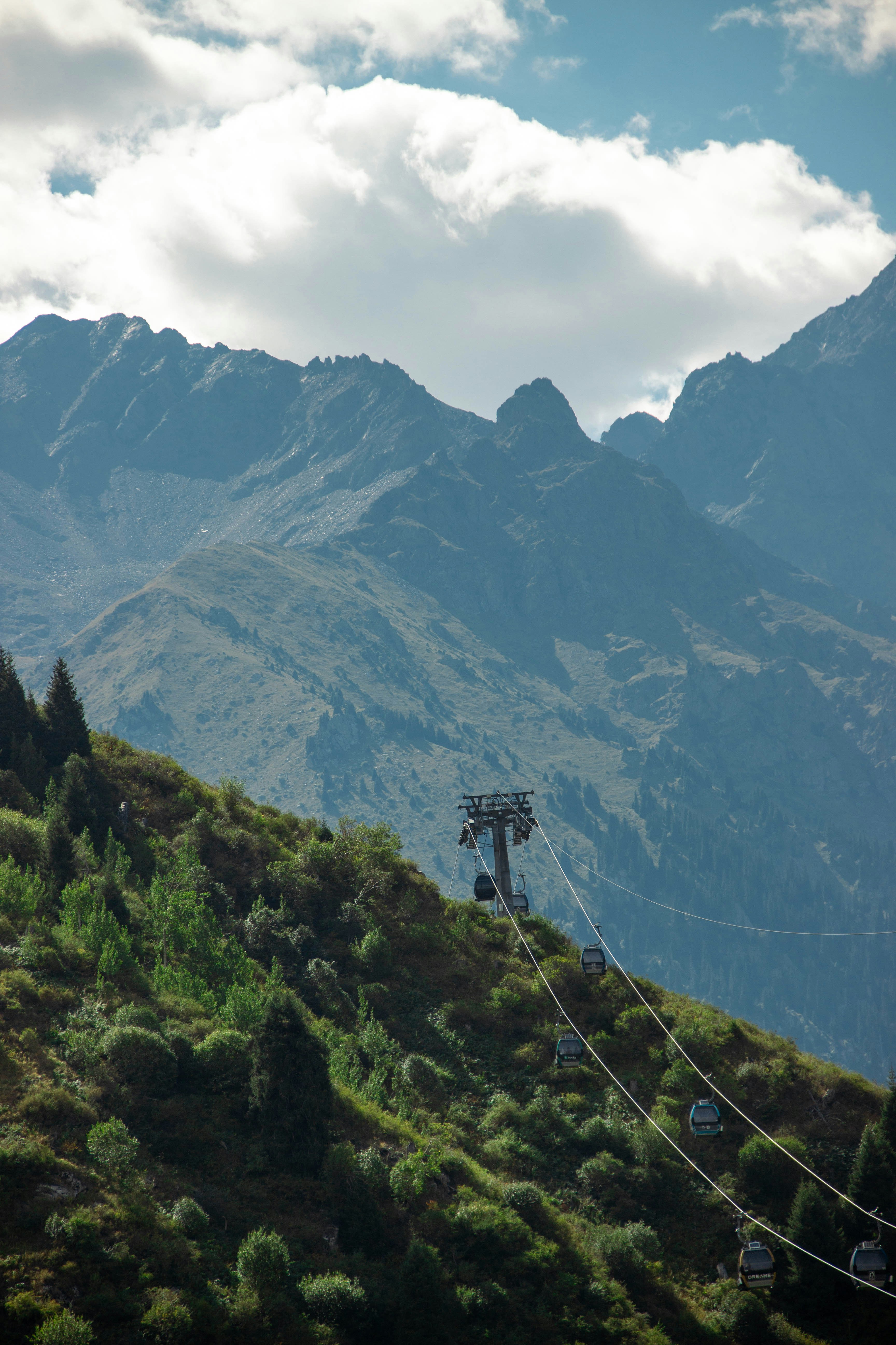 Cable Car Above the Alpine Tangle