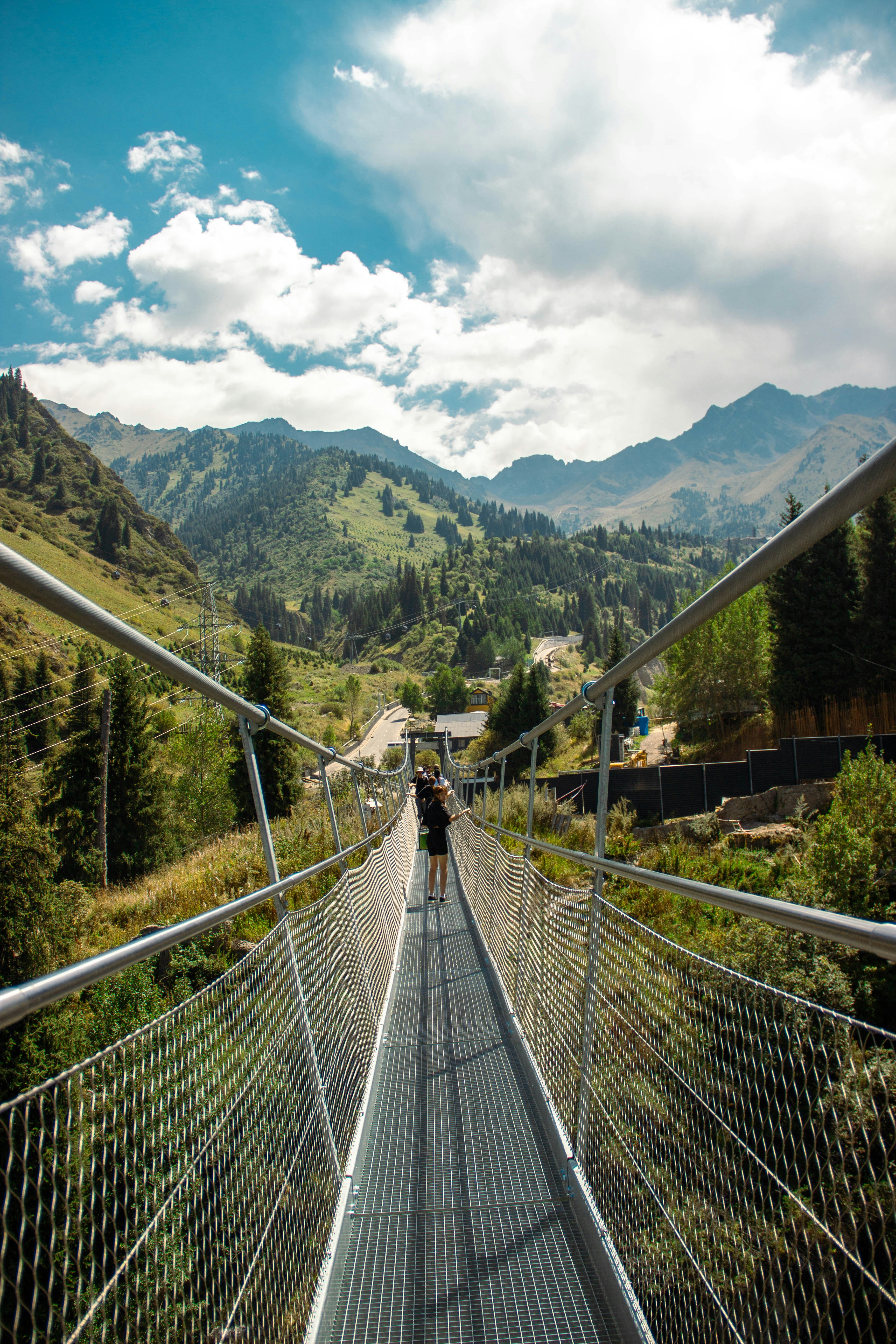 Bridge to the Alpine Horizon