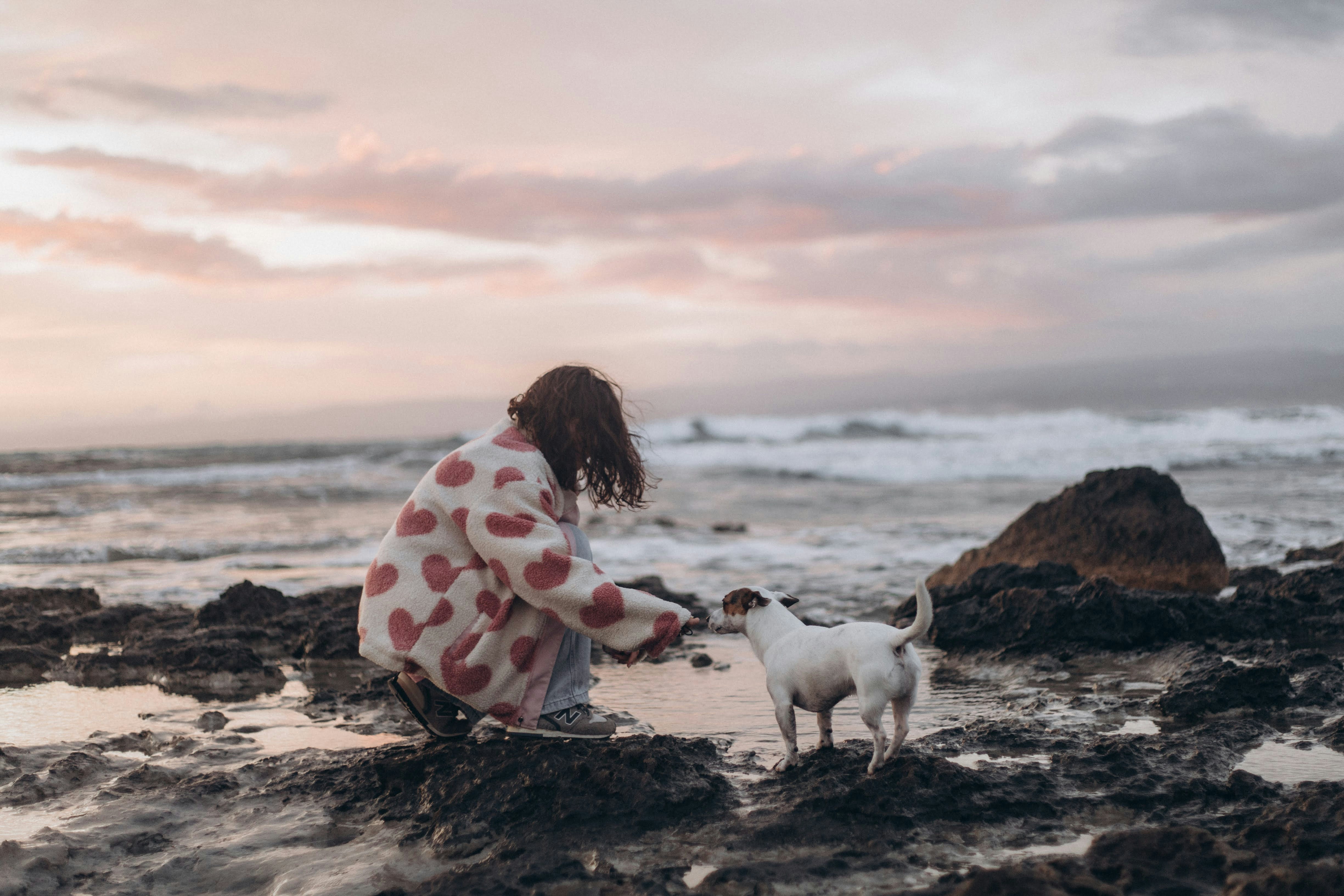 Coastal Moment: A Child and a Curious Pup at Sunset