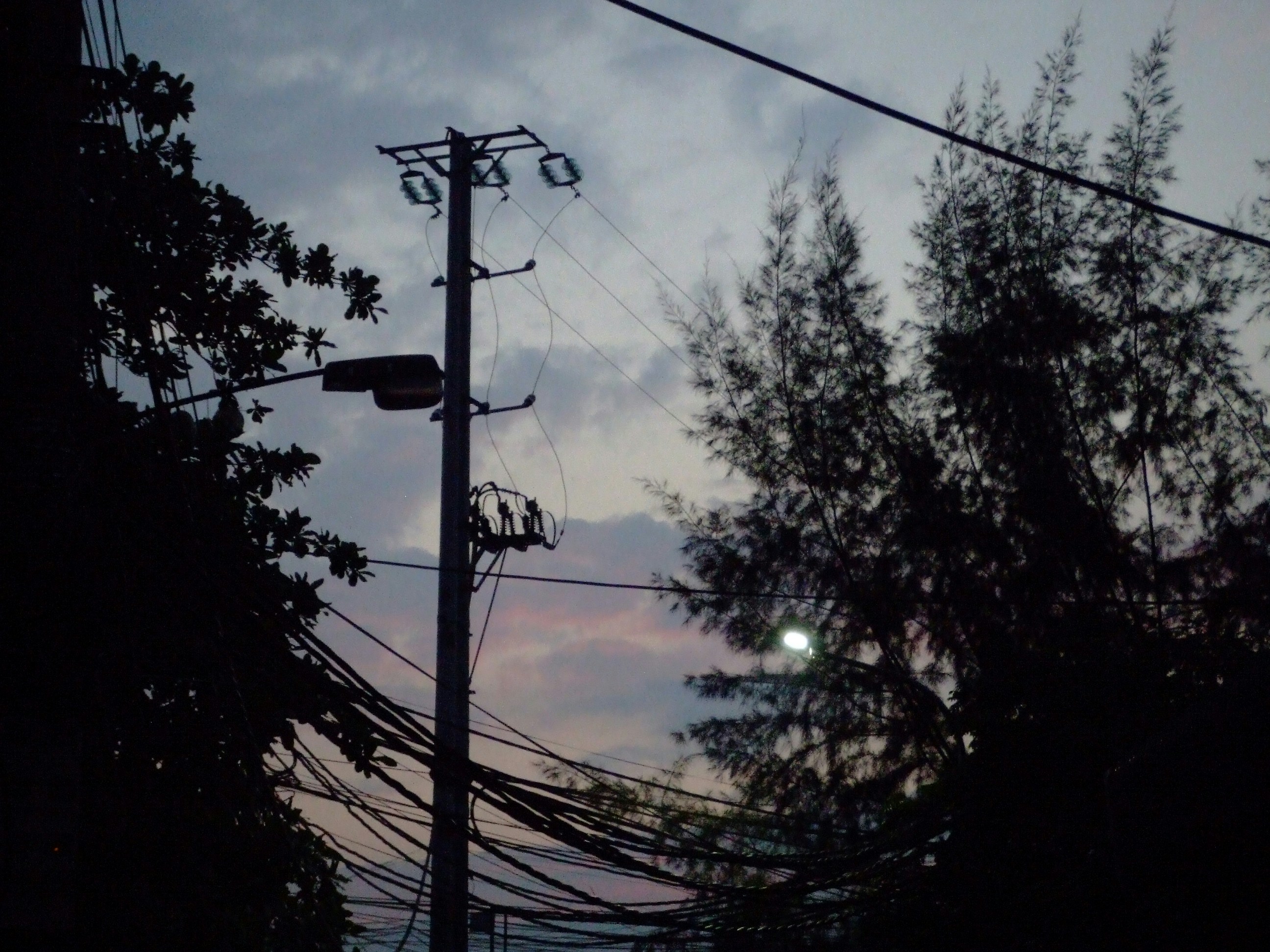 Towering Lines at Dusk: A Quiet Street Silhouette