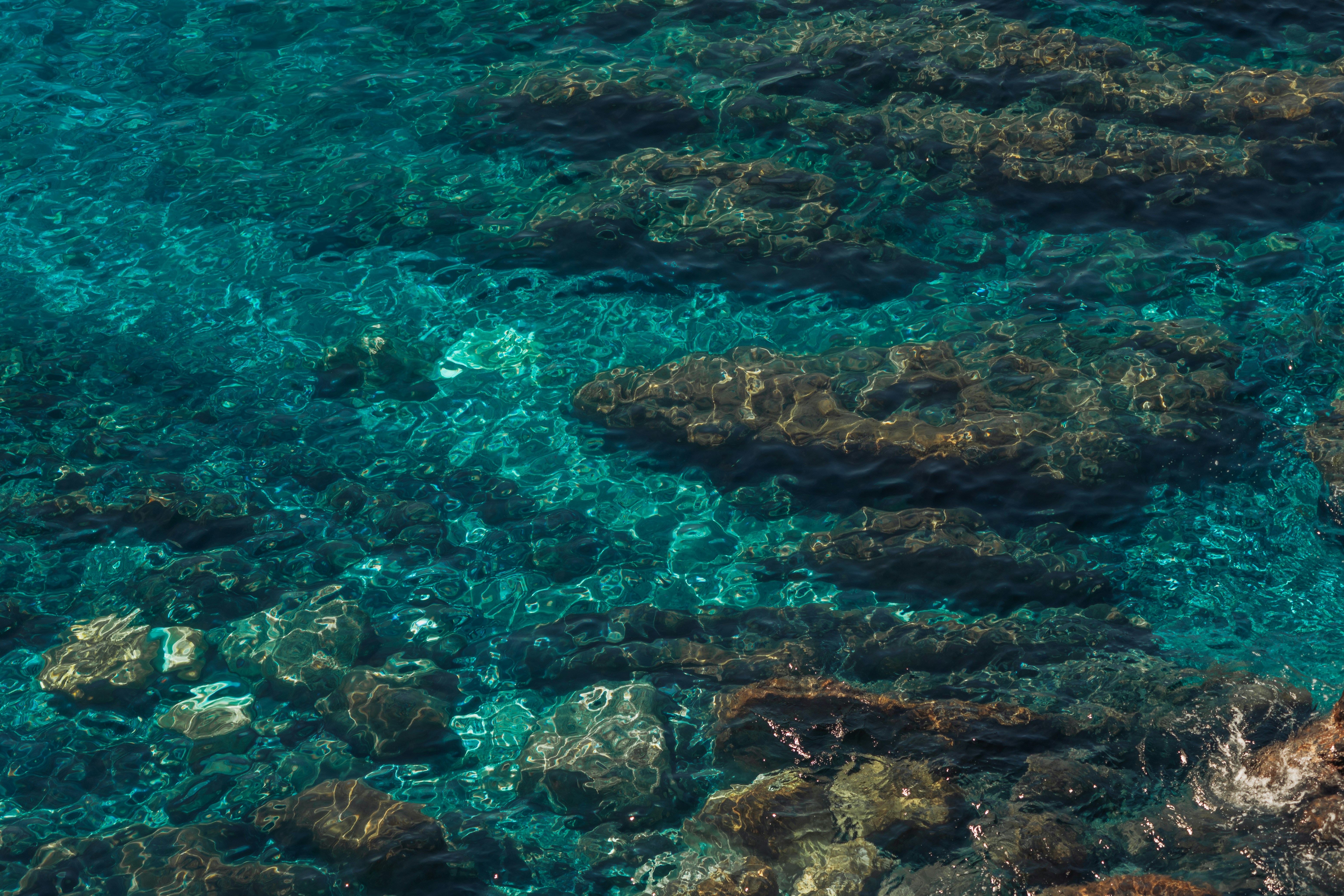 Azure Shallows: Revealing Rhythms of Sunlit Reef