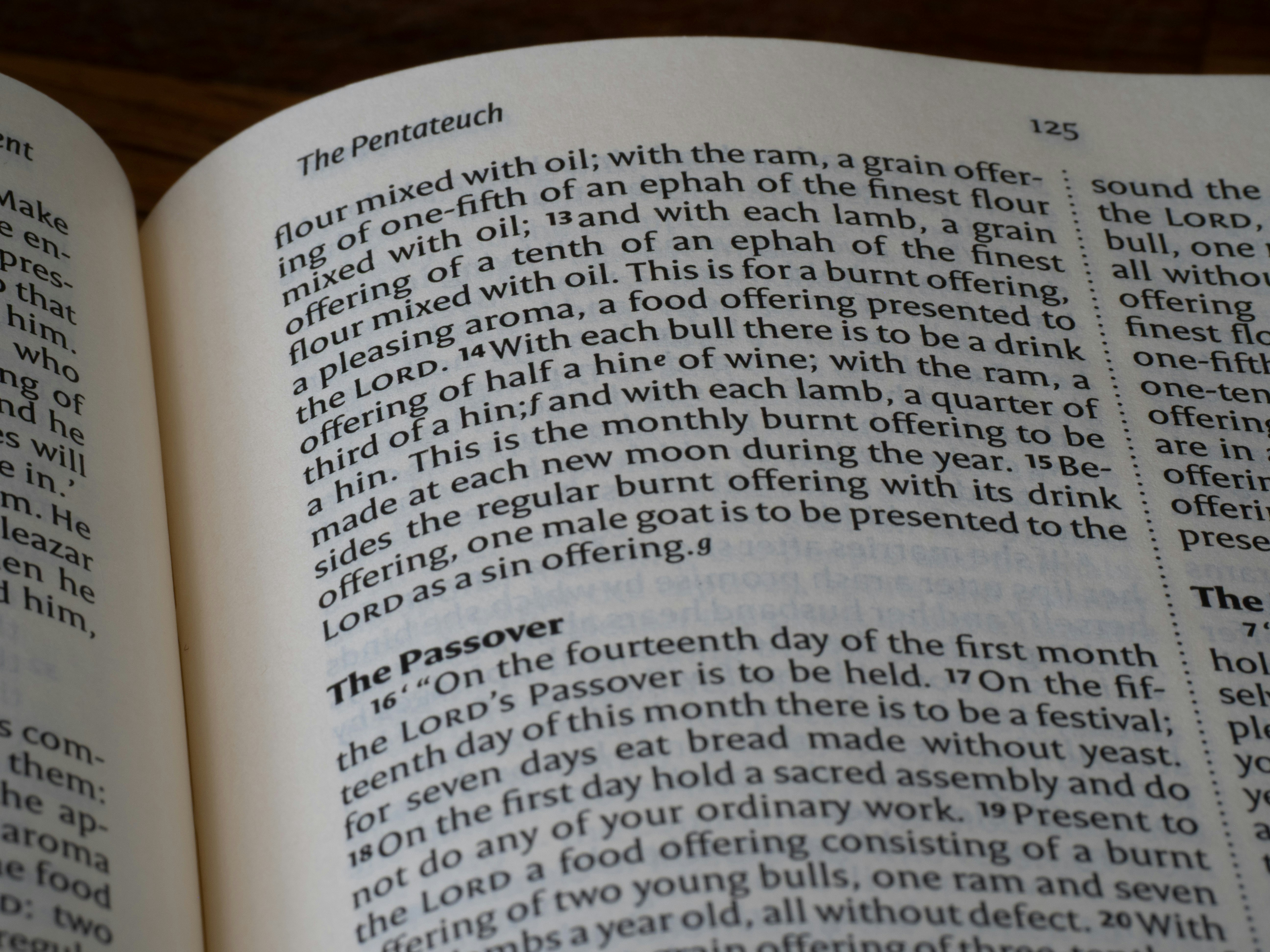 Close-up of an open book with a two-page spread, showing a mix of serif text and margins, suggesting a quiet reading moment; emphasizes the tactile quality of paper and ink.