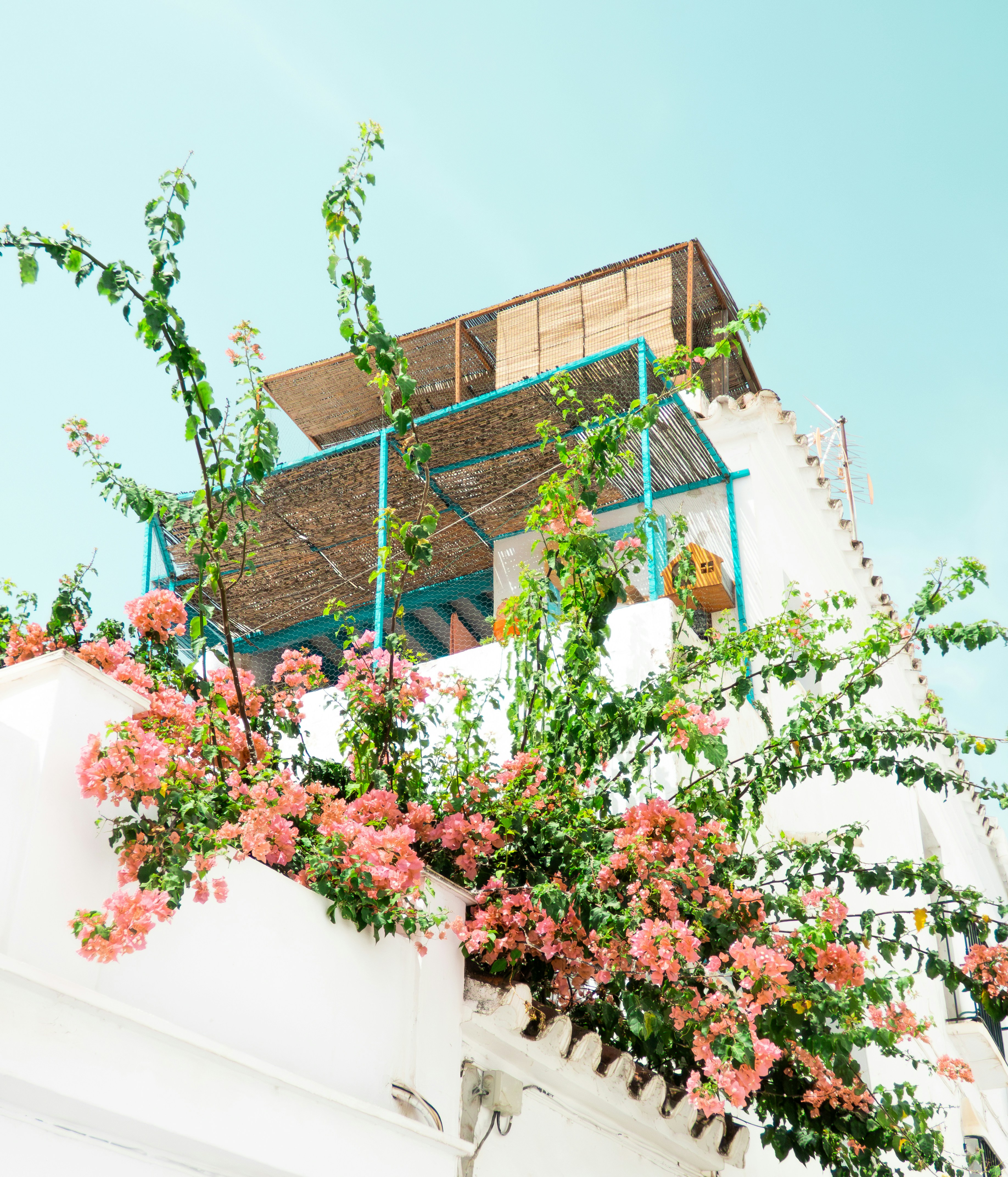A low-angle view of a whitewashed building with pink bougainvillea vines growing over the side of a balcony. A rooftop structure with turquoise beams and a bamboo shade canopy is visible above against a clear, pale blue sky.