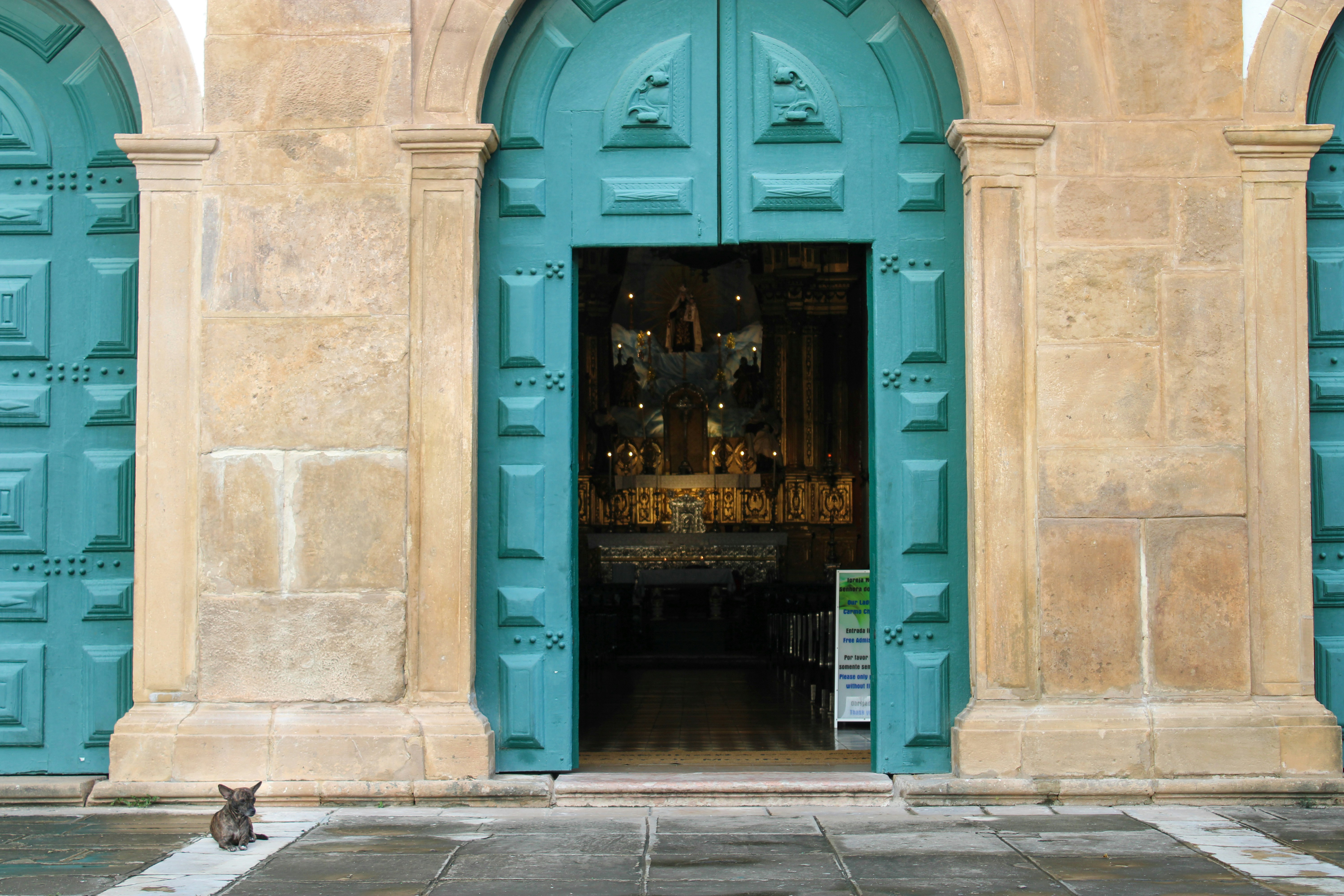 Open Doors, Quiet Cat: A Cathedral Courtyard Moment