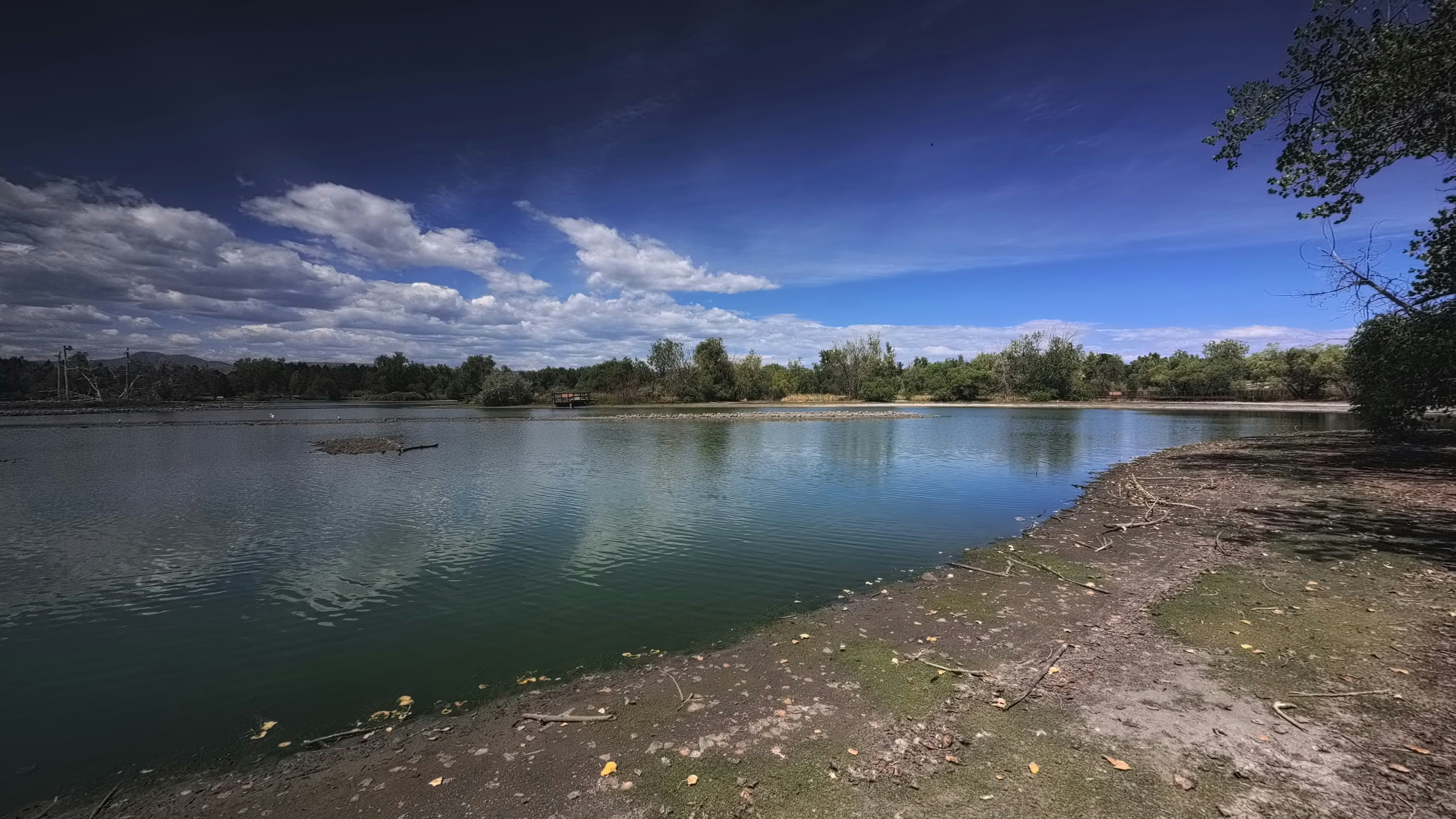 Calm lake edge with a grassy, rocky shoreline under a blue sky with scattered clouds and distant trees. The scene emphasizes tranquil water and natural surroundings (photographed as a landscape).