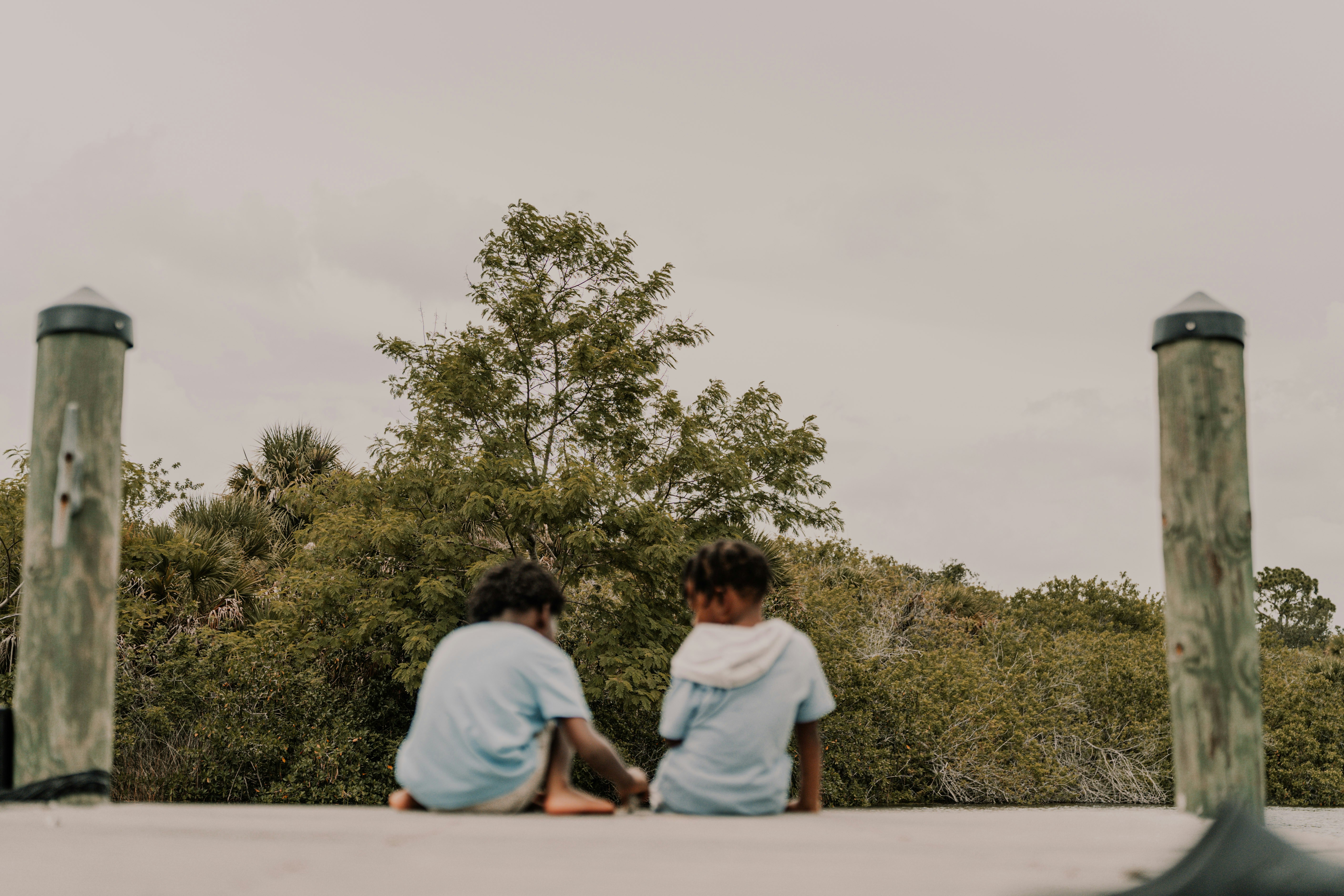 Two Friends in Quiet Moment on a Distant Dock