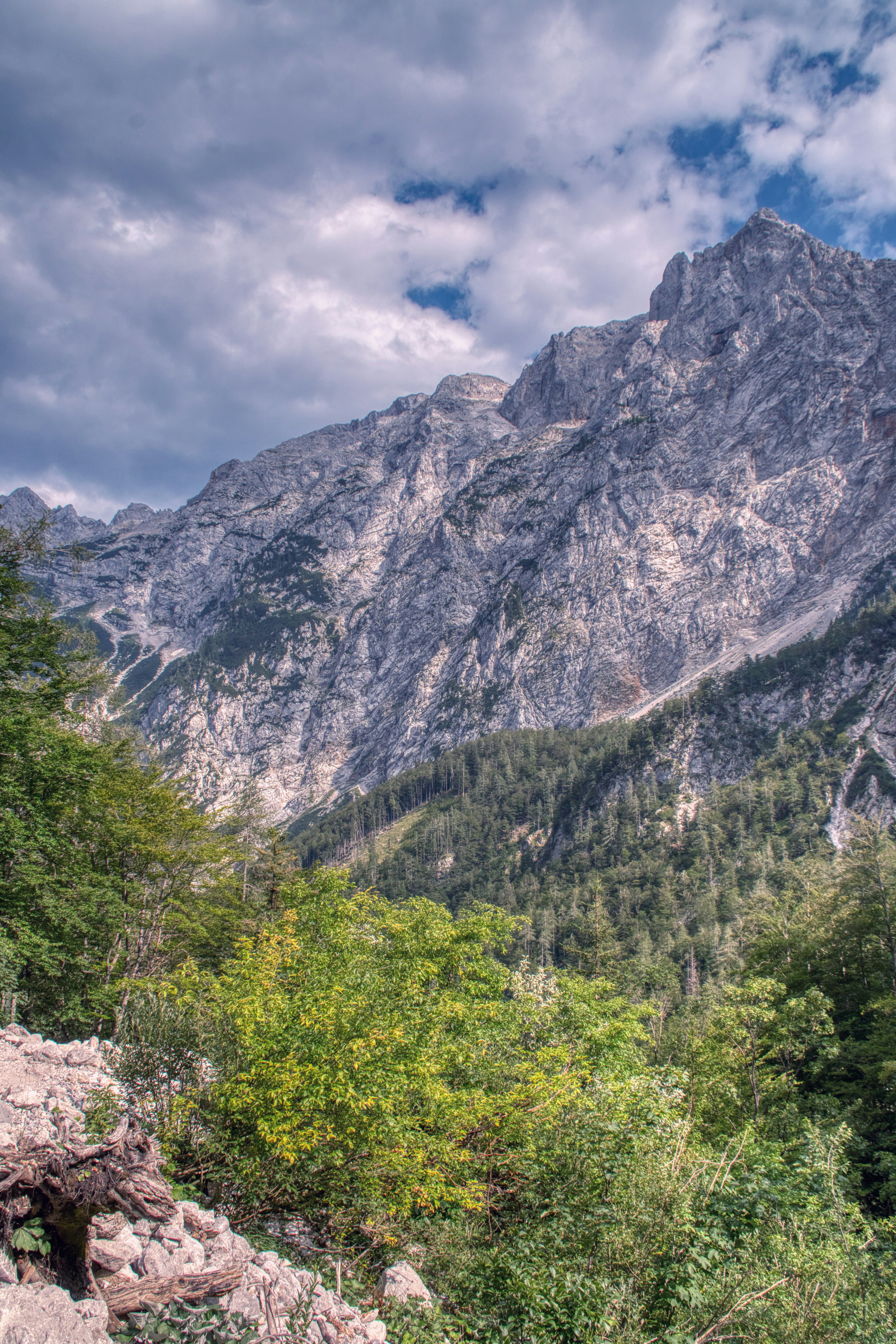 Peak Crown: A Mountain Majesty Above the Forest