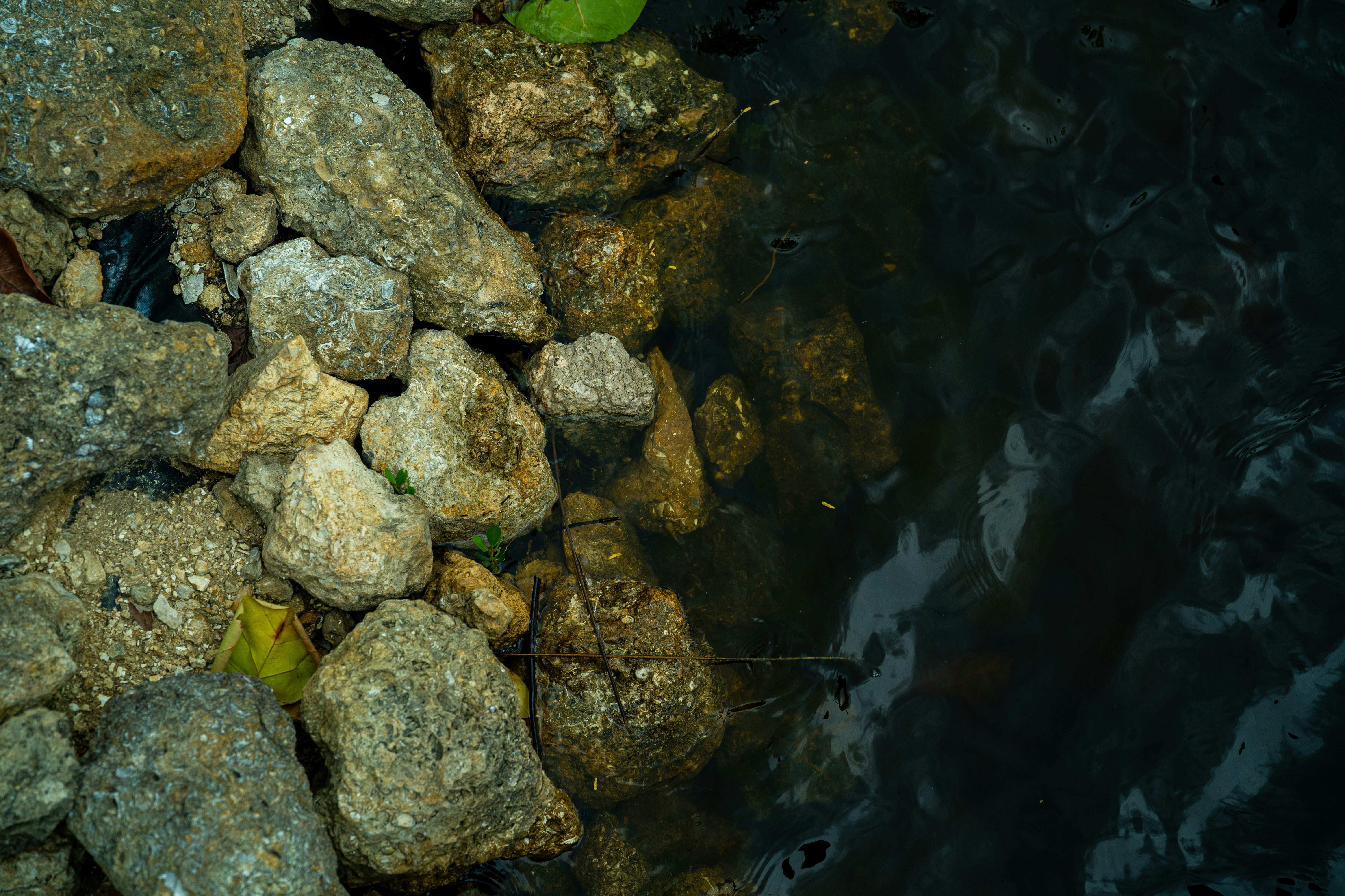 Rugged shoreline mosaic: rocks meeting dark water