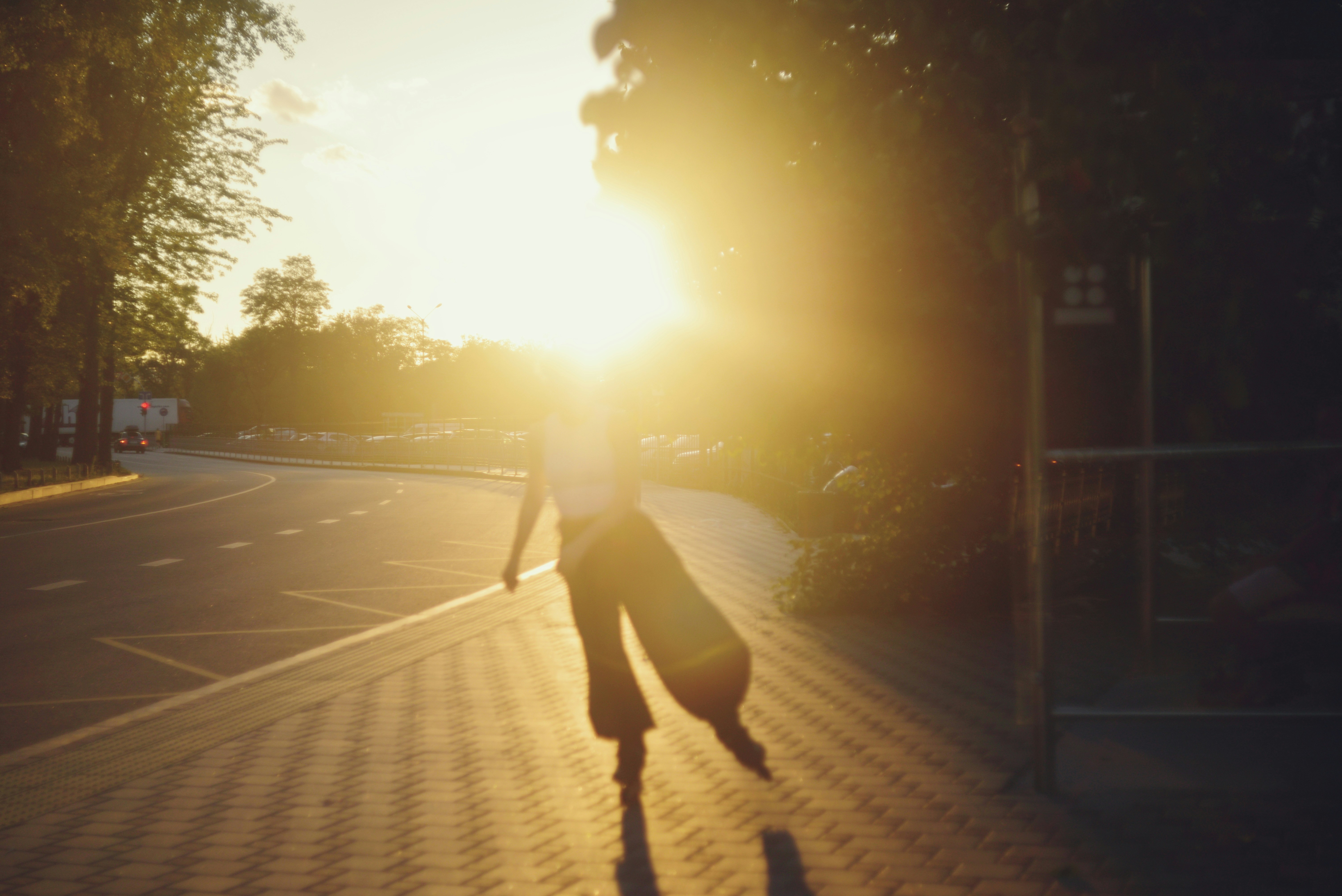 Sunlit Silhouette Leap: A Moment on the Evening Walk