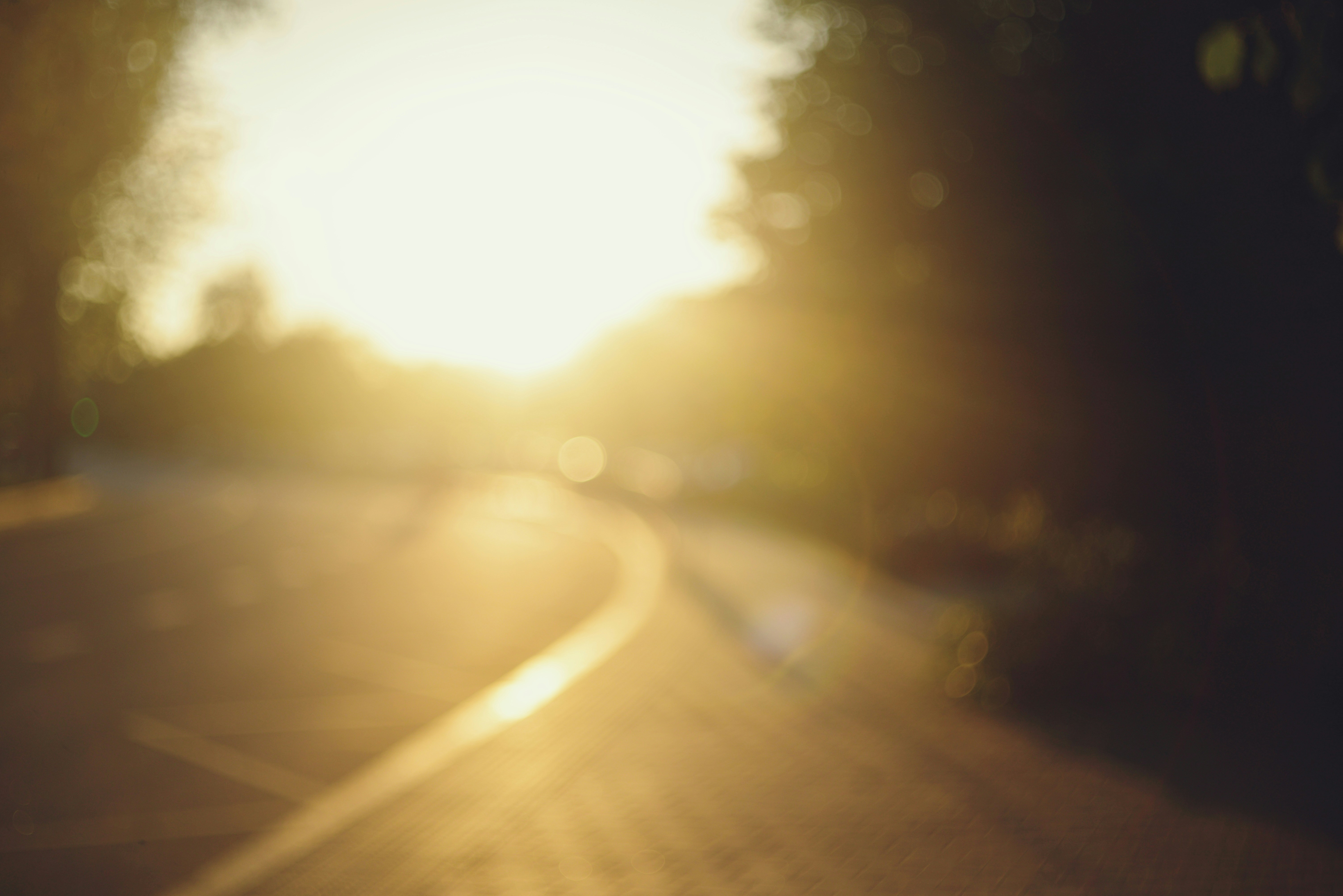 Golden Hour Blur: A Quiet Curve of the Road