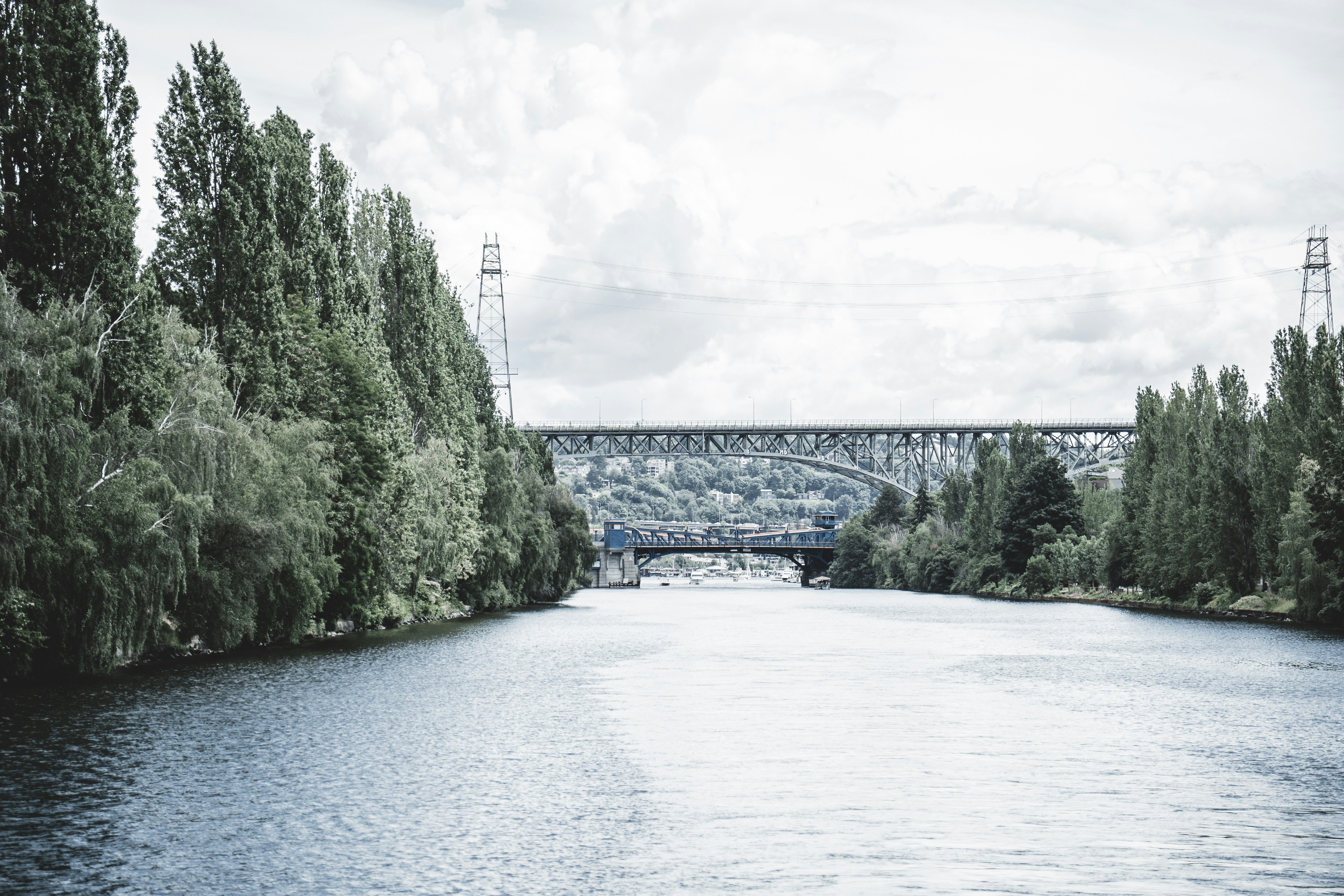 Towpath Quiet: A Riverway Framed by Lined Trees and a Distant Bridge