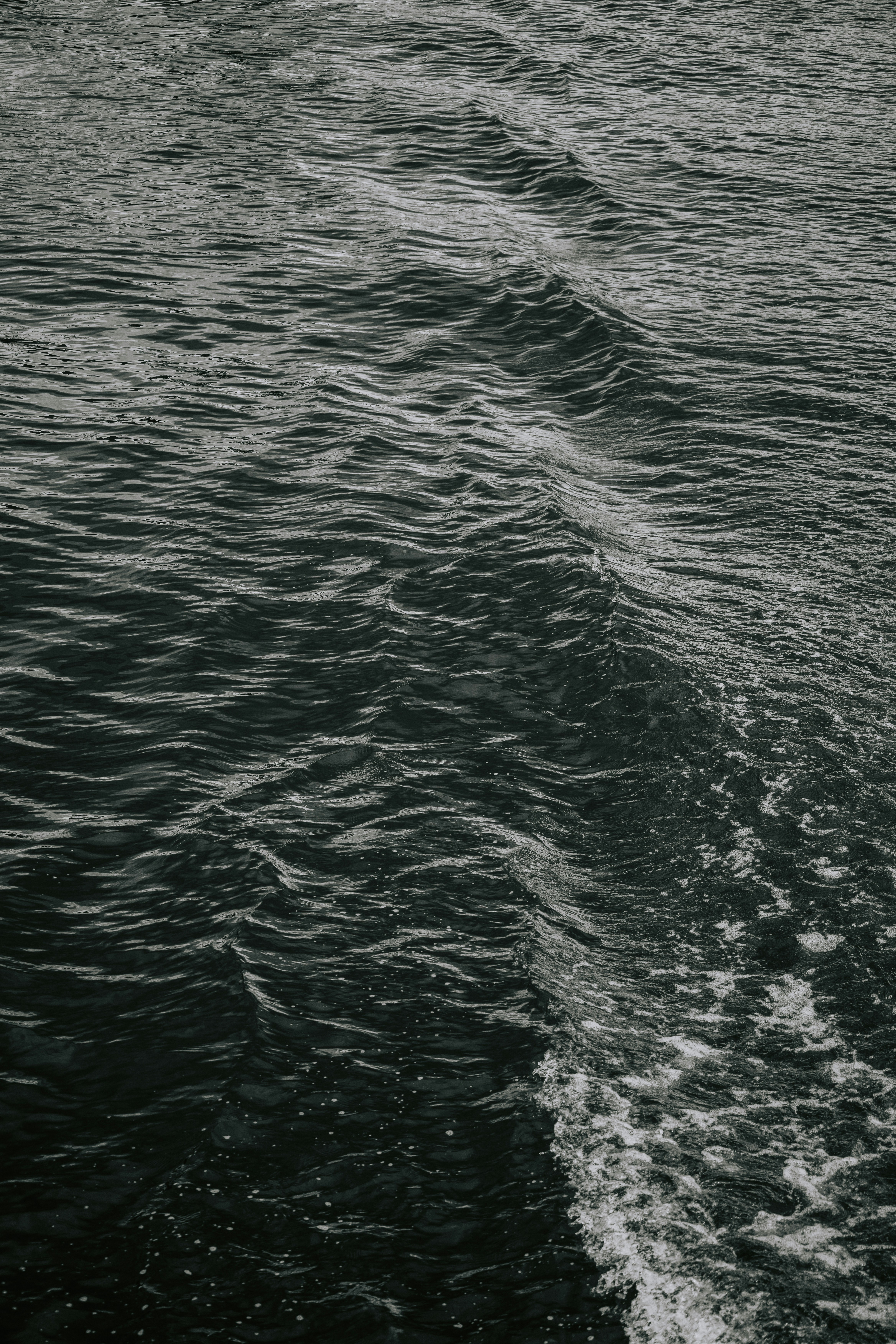 Wake This Way: A Seascape in Ripples and Whitewake